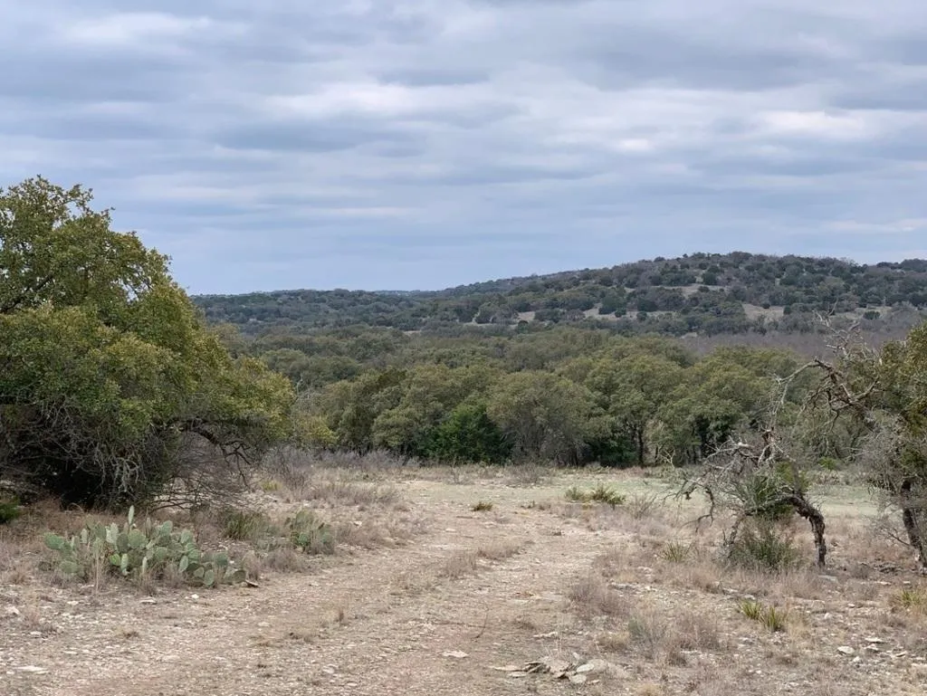 Land for Sale in Edwards Plateau West Texas Region - 1,354 Properties ...