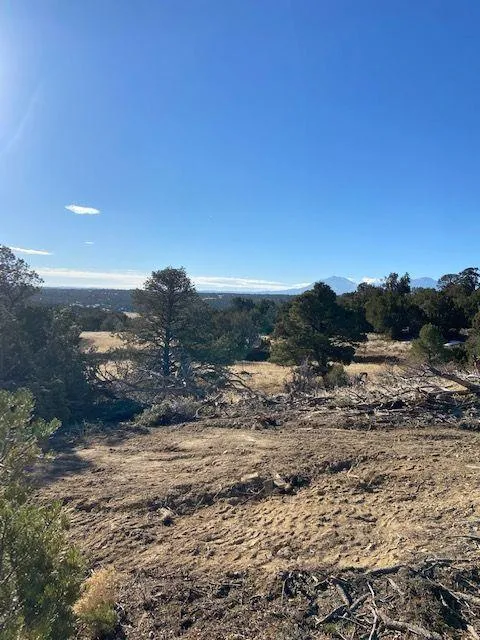 Residential Properties for Sale in Huerfano County, Colorado - 203 ...