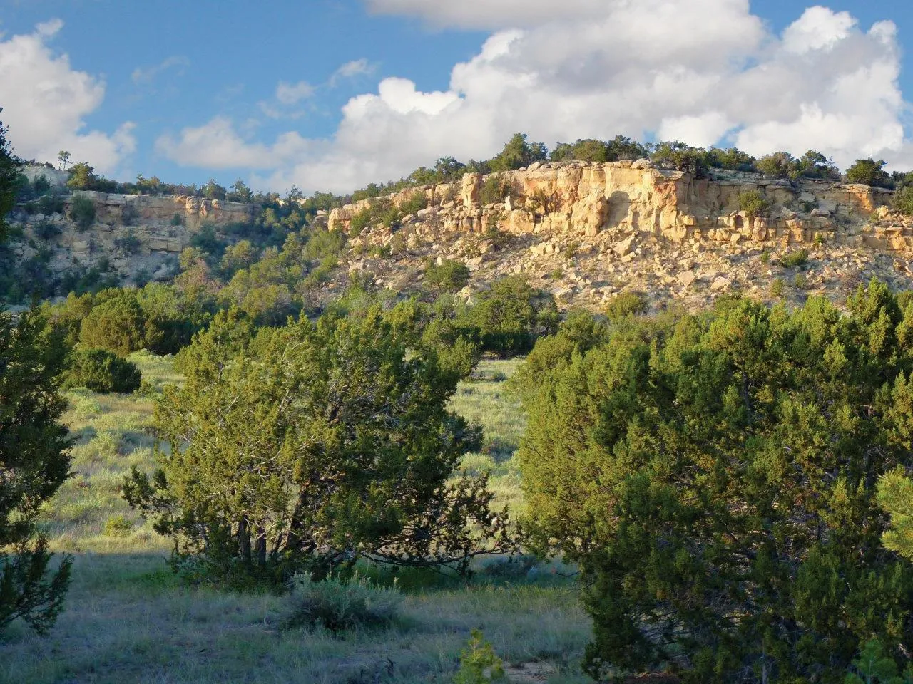 Ranches for Sale in Arizona - 111 Properties - Land.com