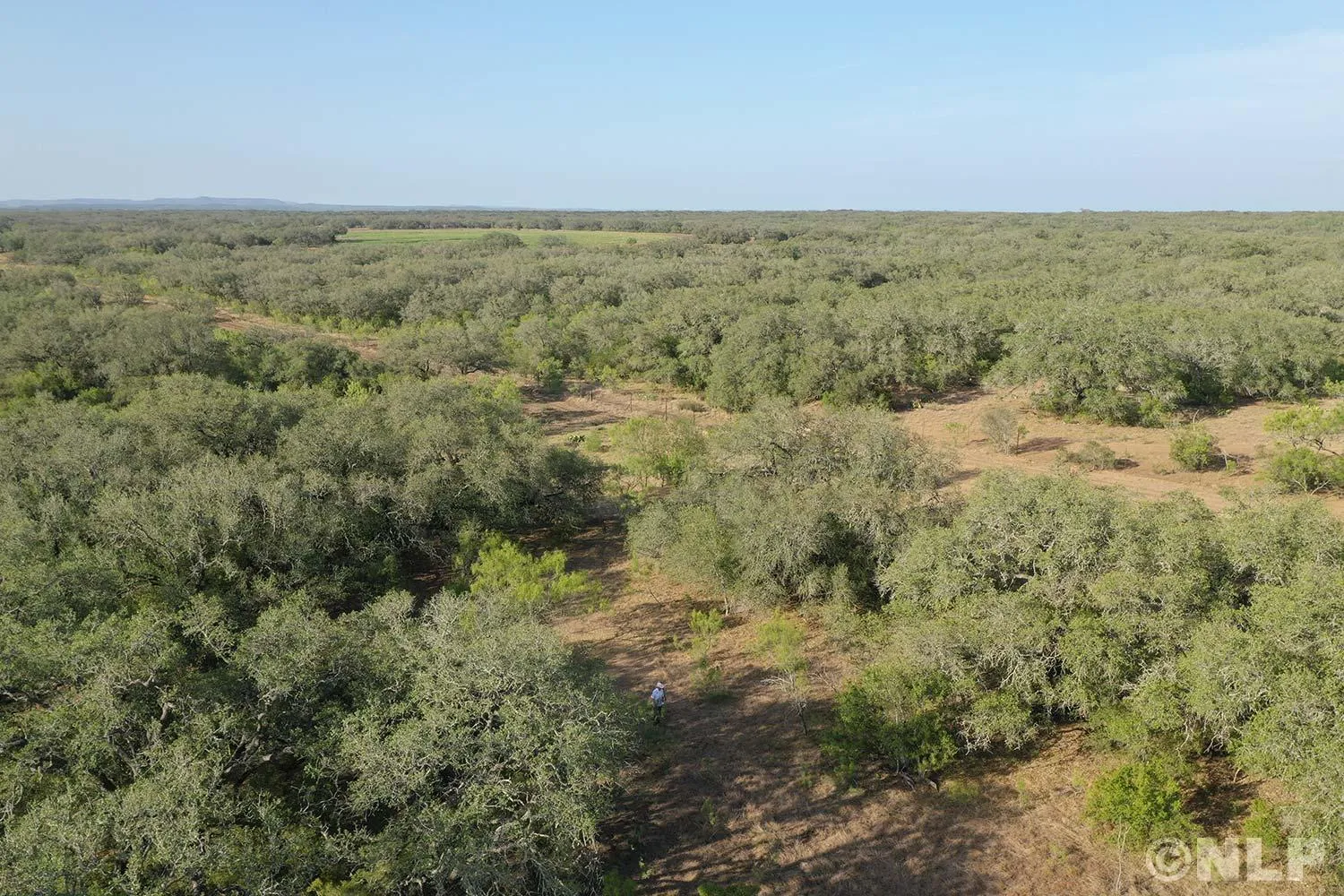Land for Sale in Medina County, Texas - 255 Properties - Land.com