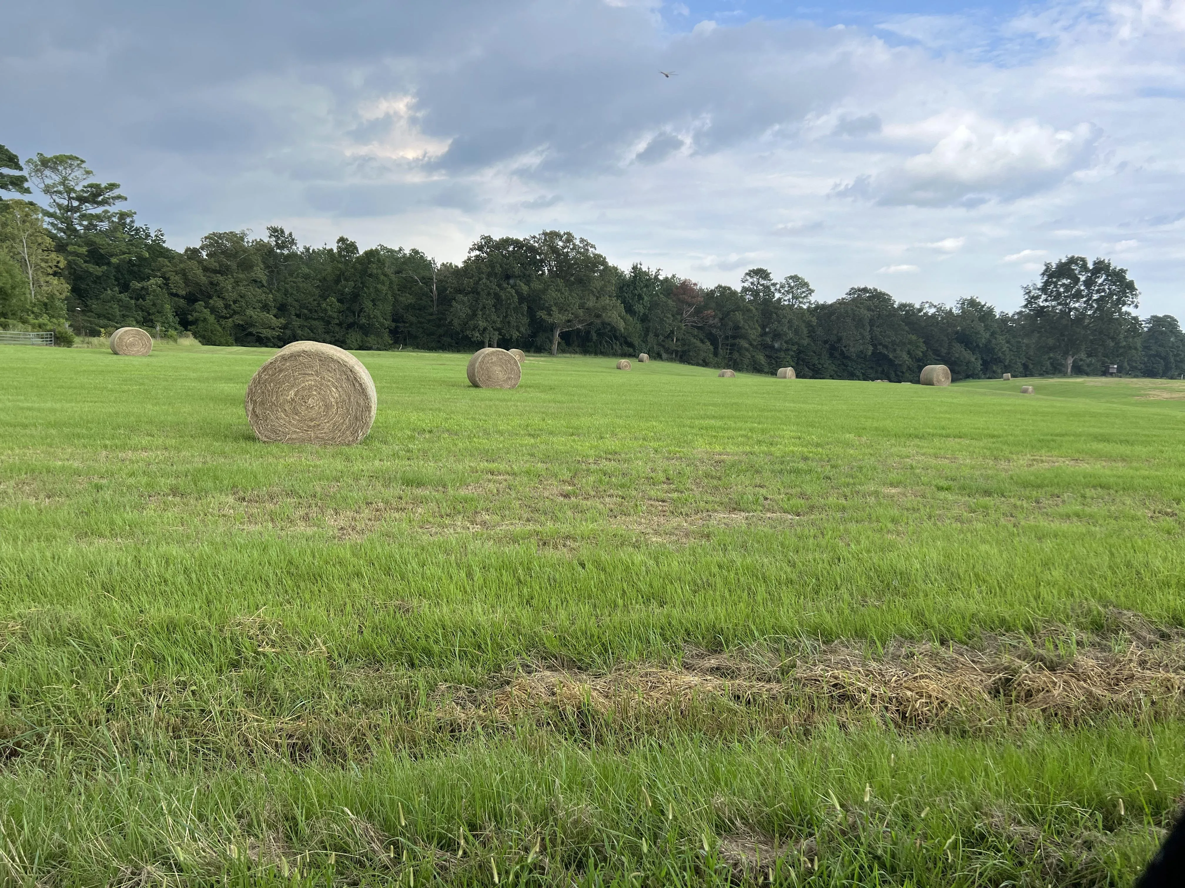 Ranches for Sale in Arkansas - 77 Properties - Land.com