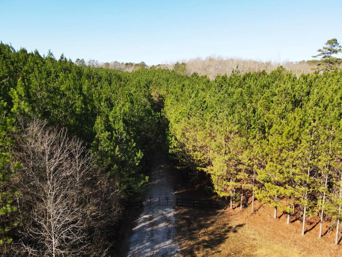 Land for Sale in Cherokee County, Alabama over 20 Acres - 21 Properties ...