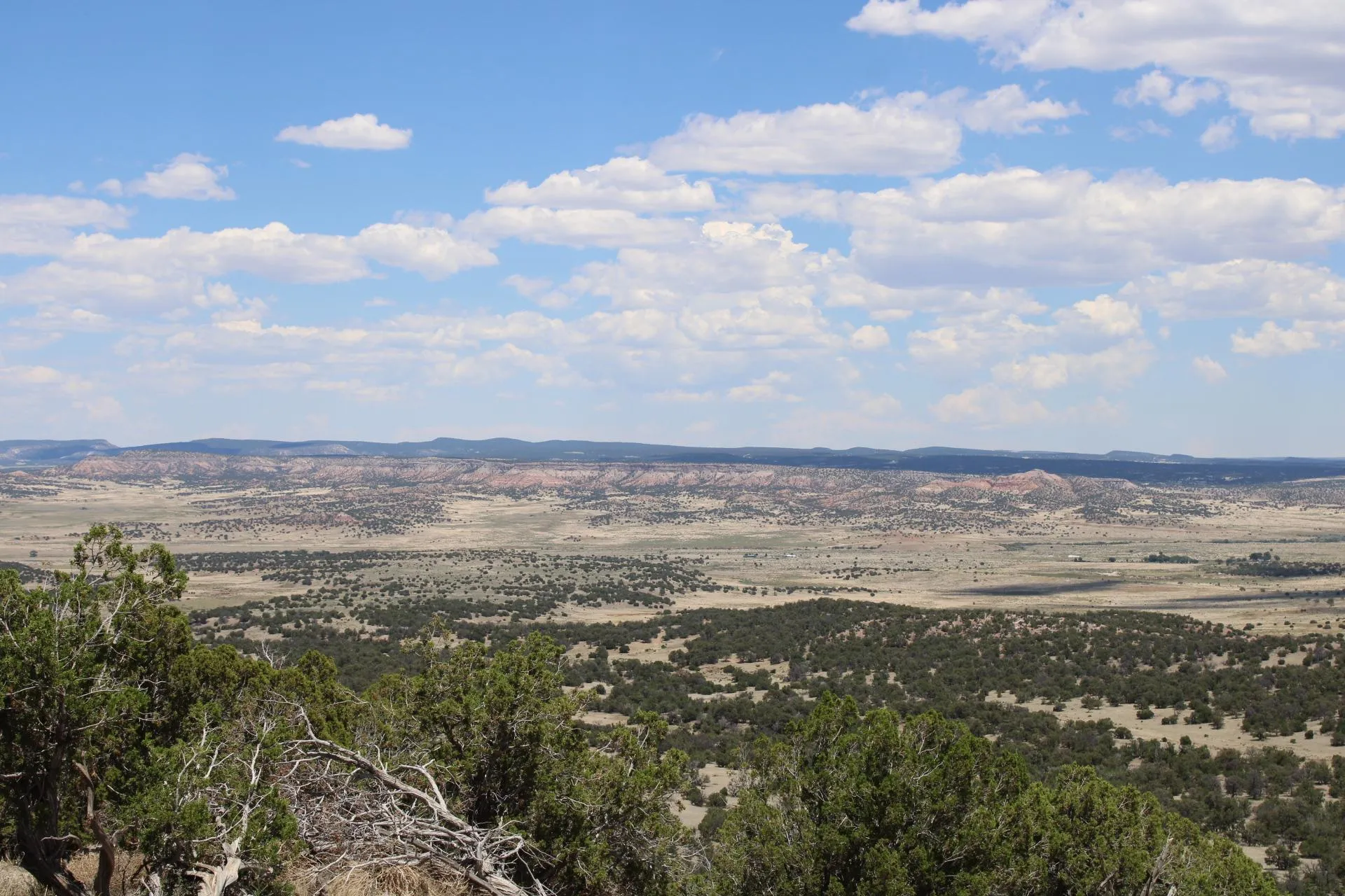 Land for sale, homesteads for sale in New Mexico - 87 Properties - Land.com