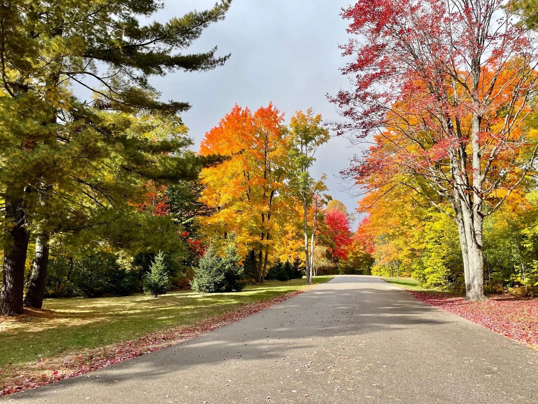 Land for Sale in Michigan - 16,257 Properties - Land.com