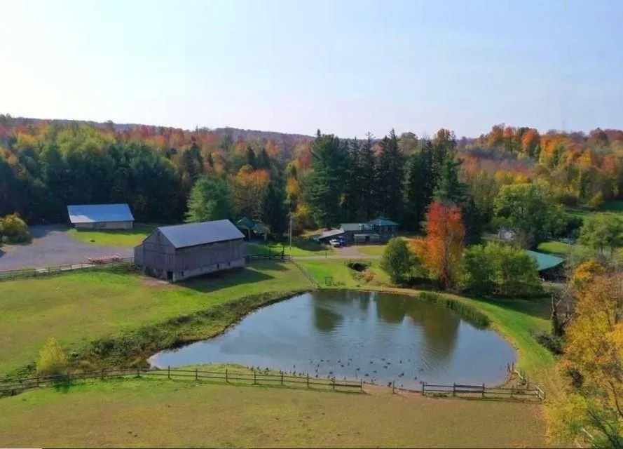 Land for Sale in New York over 200 Acres - 142 Properties - Land.com