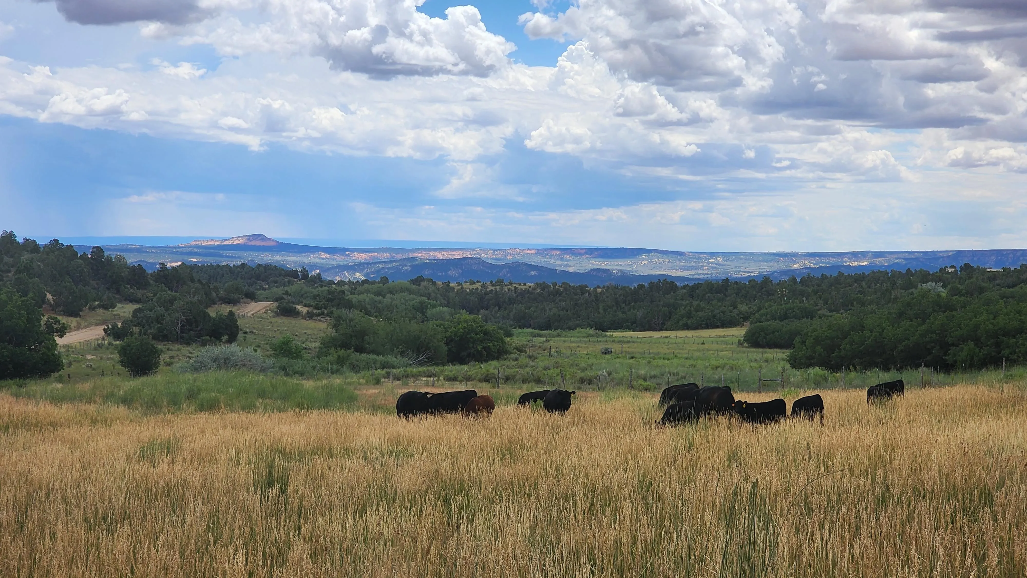 Land for Sale in Utah over 500 Acres - 43 Properties - Land.com