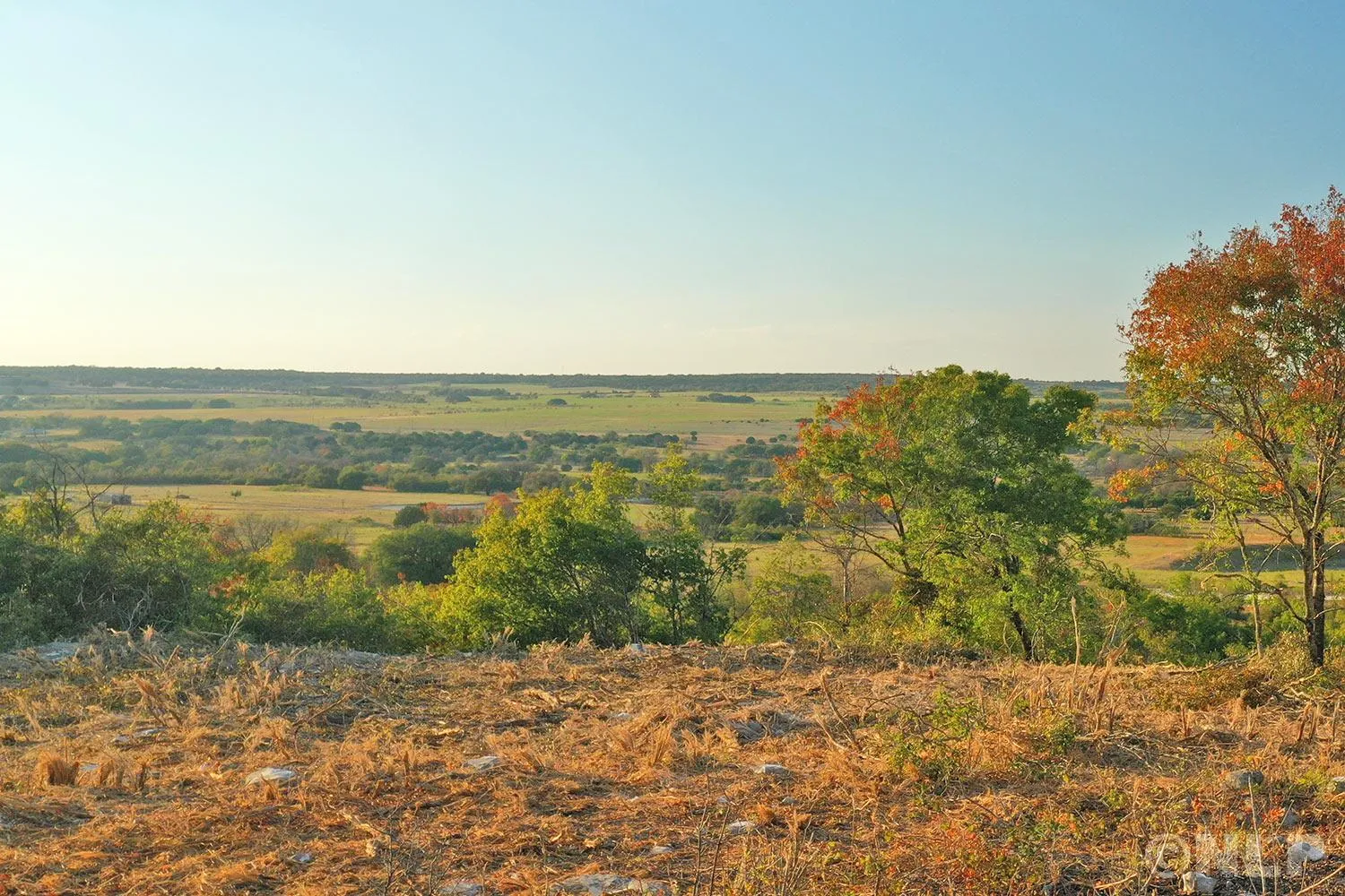 Land for Sale in Hamilton, Texas between 2 and 500 Acres - 87 ...