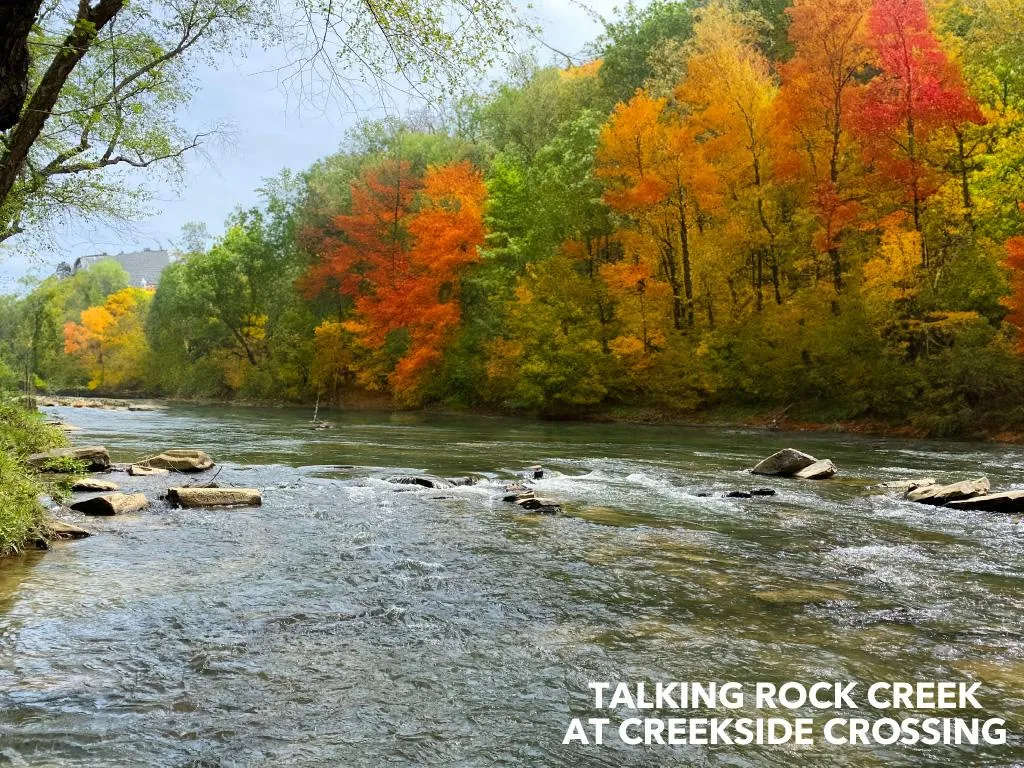 Riverfront Properties for Sale in Talking Rock, Georgia - 5 Properties ...