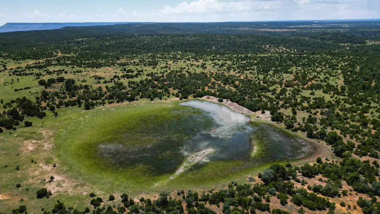 Land for Sale in Northeast New Mexico Region over 500 Acres - 28 ...