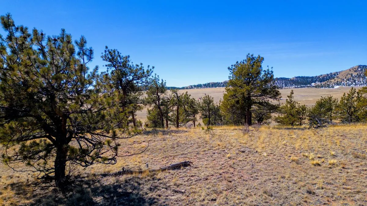 Land for sale, cheap land for sale in Colorado - 2,232 Properties ...