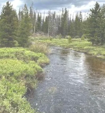 Rand, Colorado Camping Properties for Sale - 2 Properties - Land.com