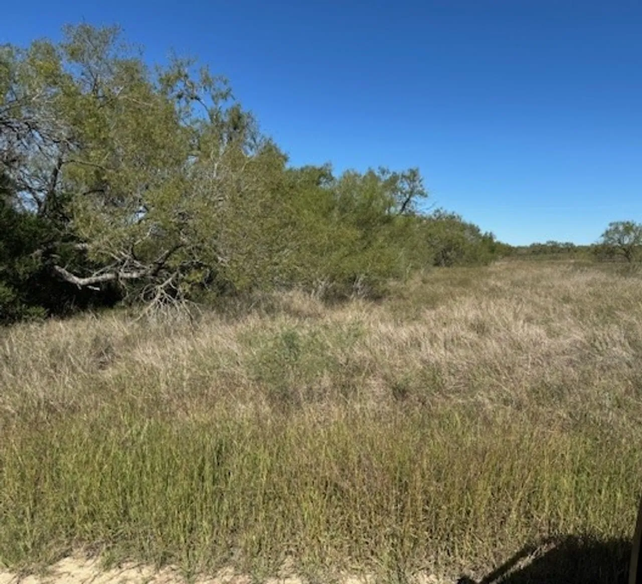 Land for Sale in San Antonio Texas Region between 70 and 80 Acres - 16 ...