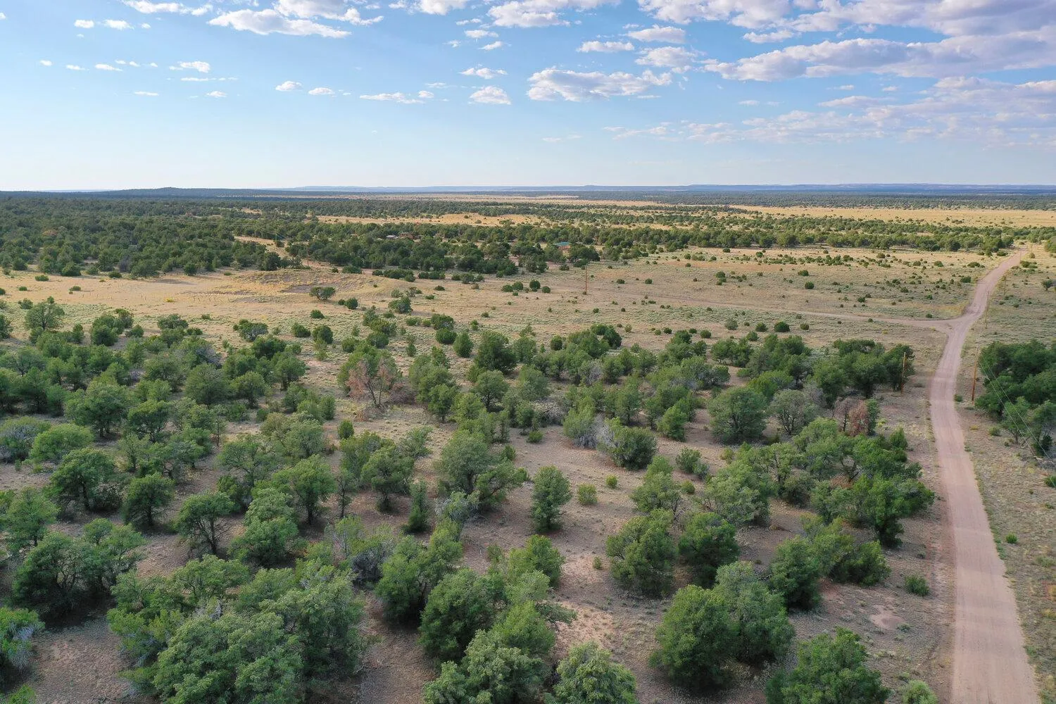 Land for Sale in Fence Lake, New Mexico - 23 Properties - Land.com
