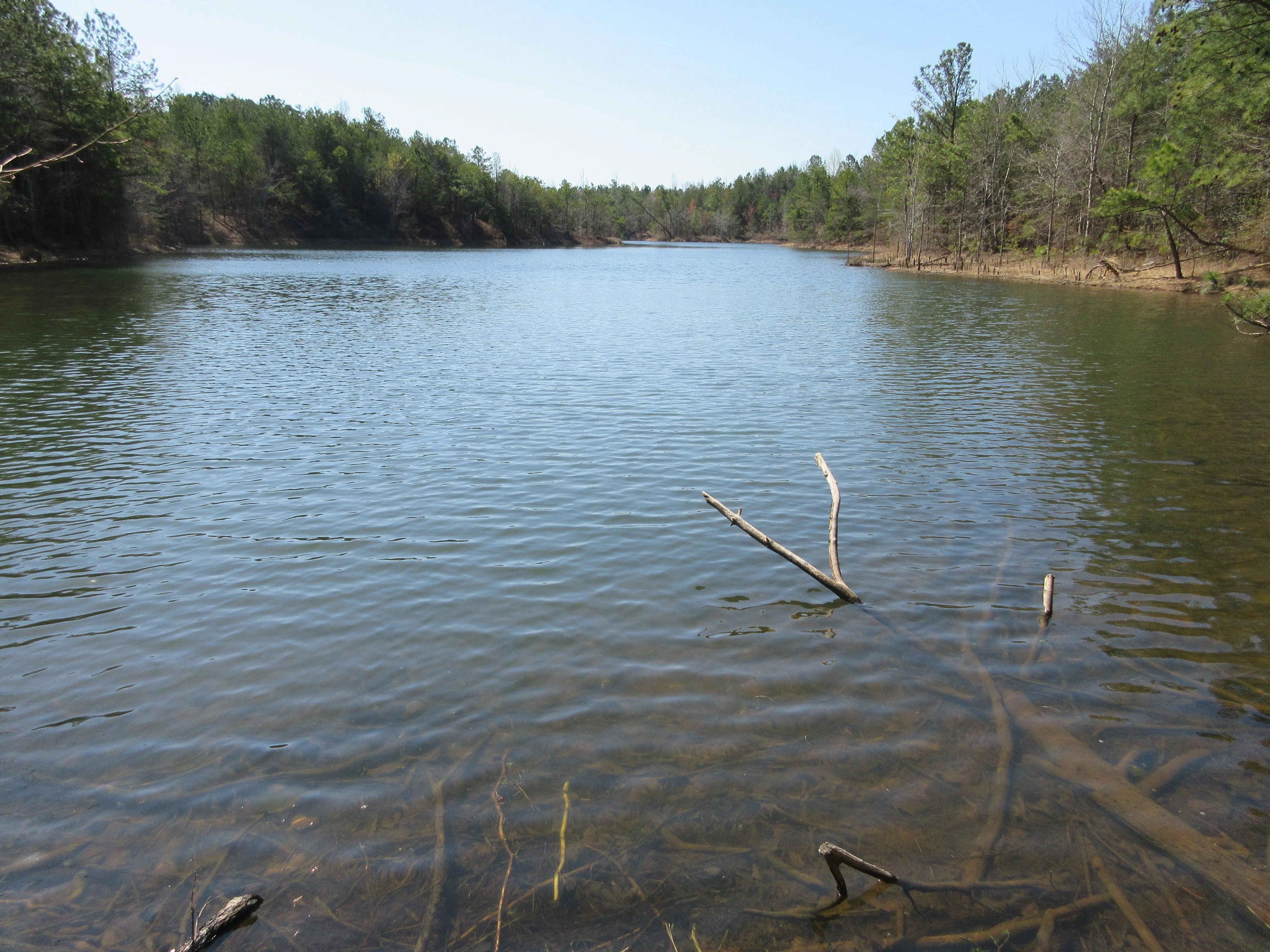 Timberland Properties for Sale in Mountains Alabama Region - 98 ...