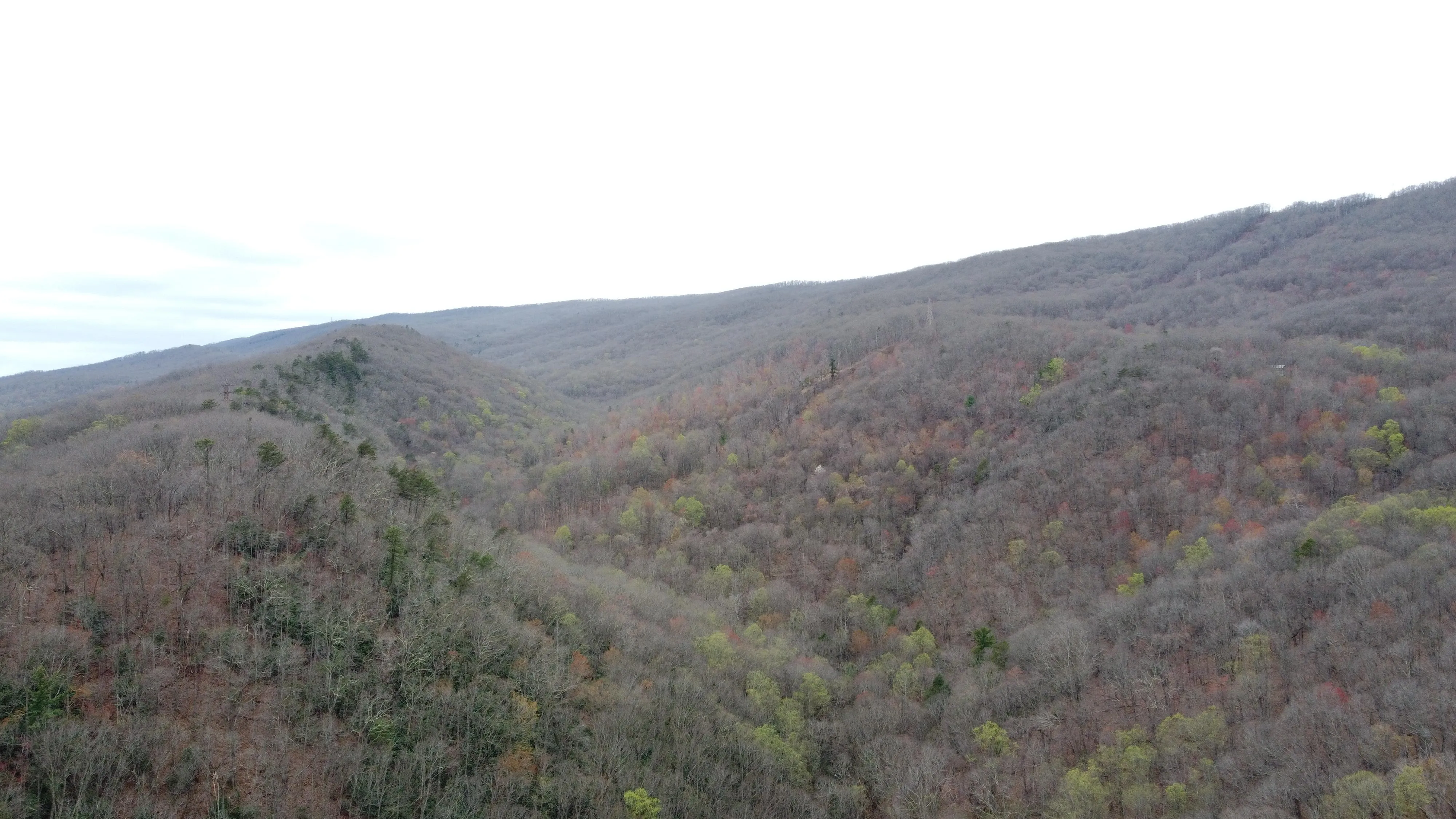 Timberland Properties for Sale in Mountain Virginia Region - 31 ...