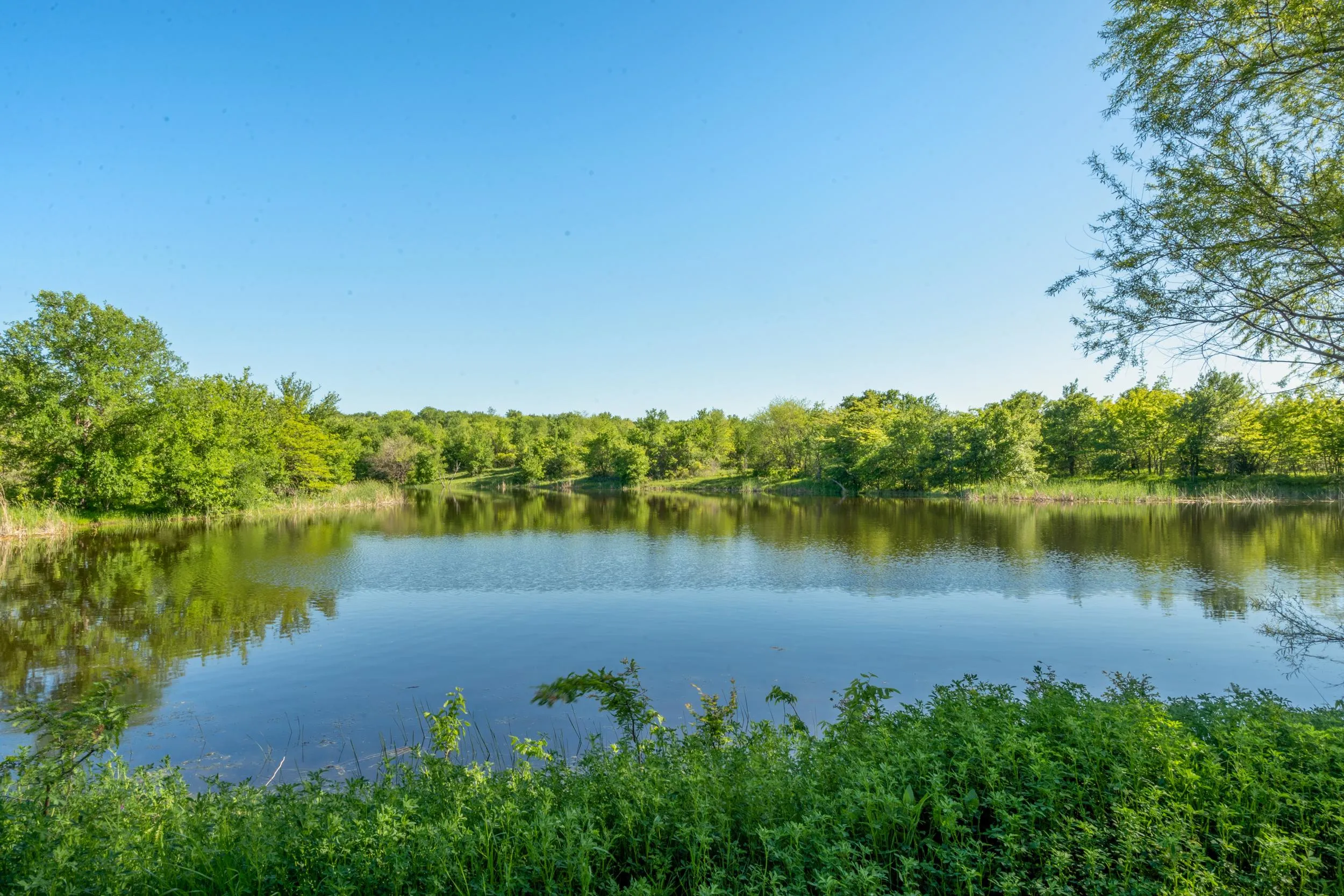 Land for Sale in Hill County, Texas over 200 Acres - 10 Properties ...