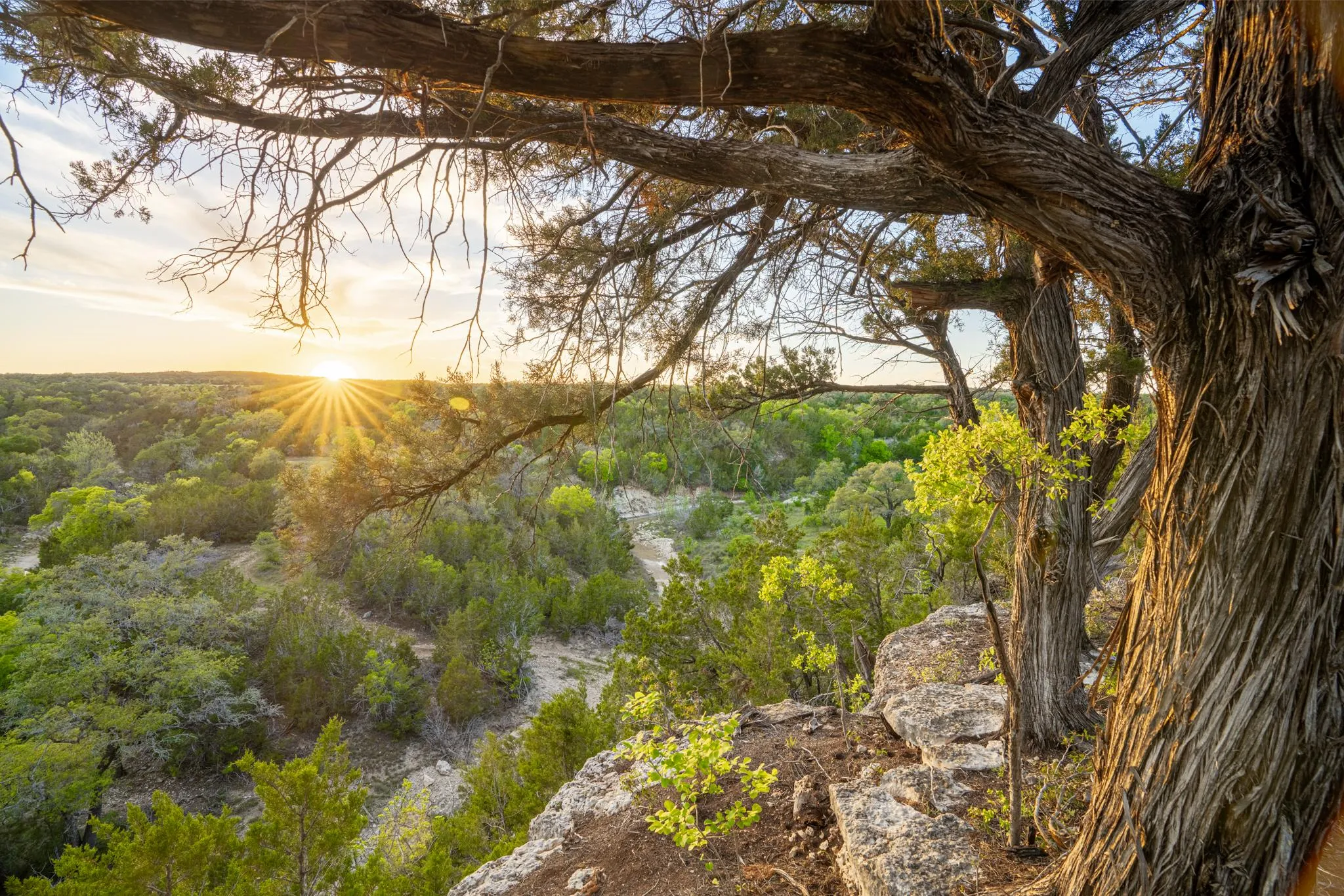Land for Sale in Dripping Springs, Texas - 171 Properties - Land.com