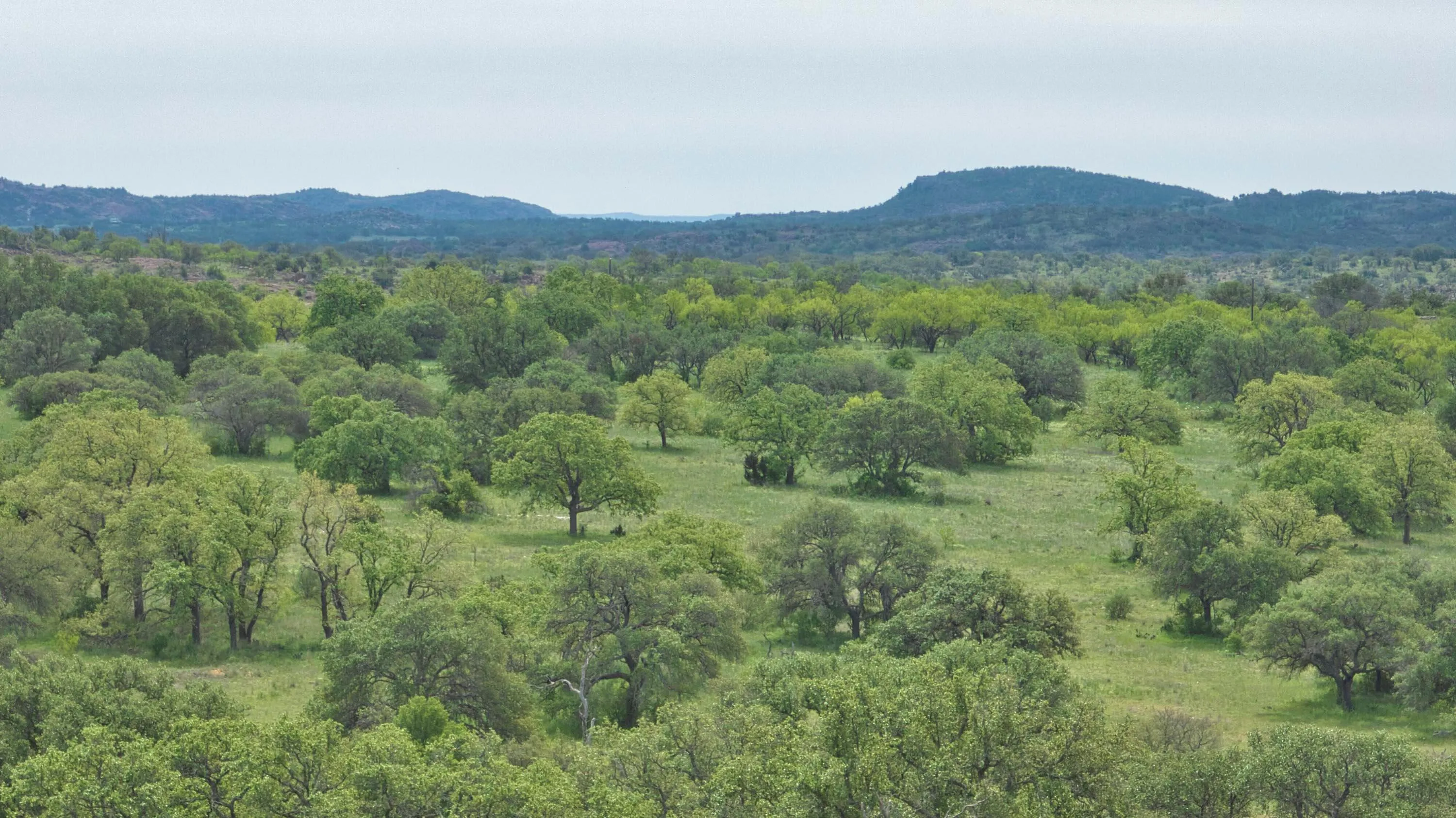 Land for Sale in Mason County, Texas over 200 Acres - 12 Properties ...