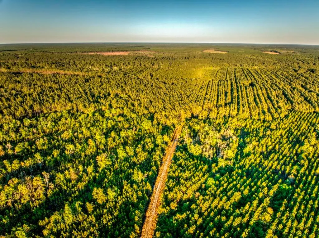 Land for Sale in Wayne County, Georgia between 10 and 5000 Acres - 27 ...