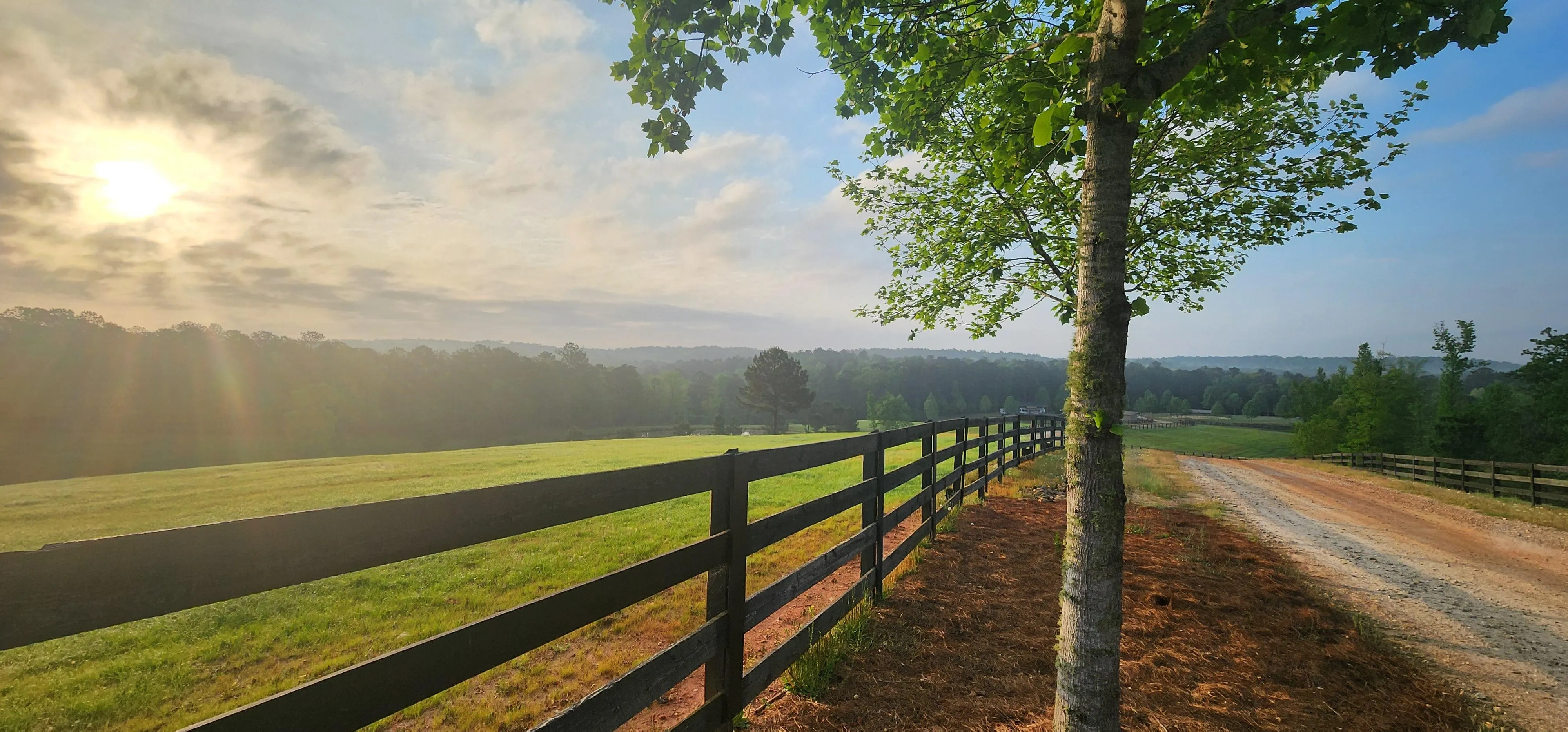 Land for Sale in Georgia over 5 Acres - 6,000 Properties - Land.com