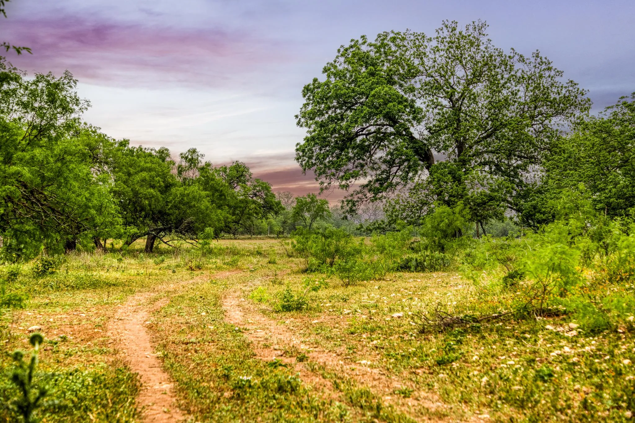 Land for Sale in Utopia, Texas over 10 Acres - 31 Properties - Land.com