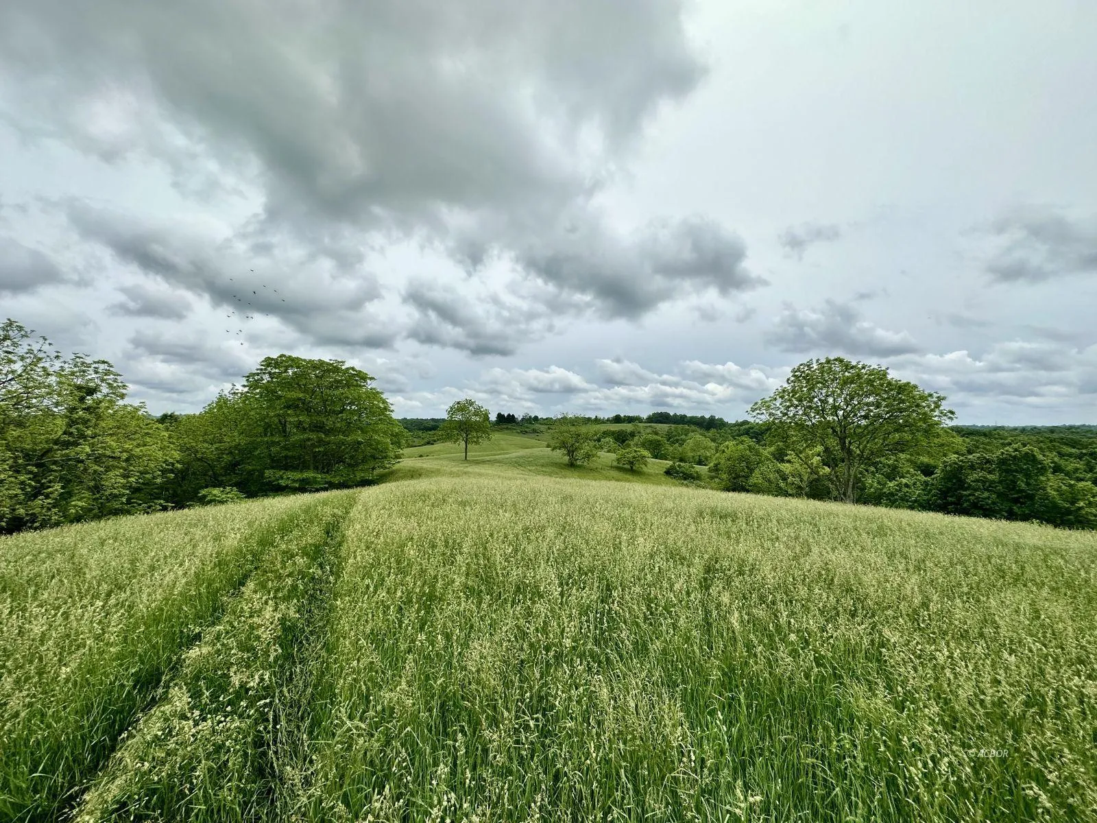 Hunting Land for Sale in Ohio - 179 Properties - Land.com