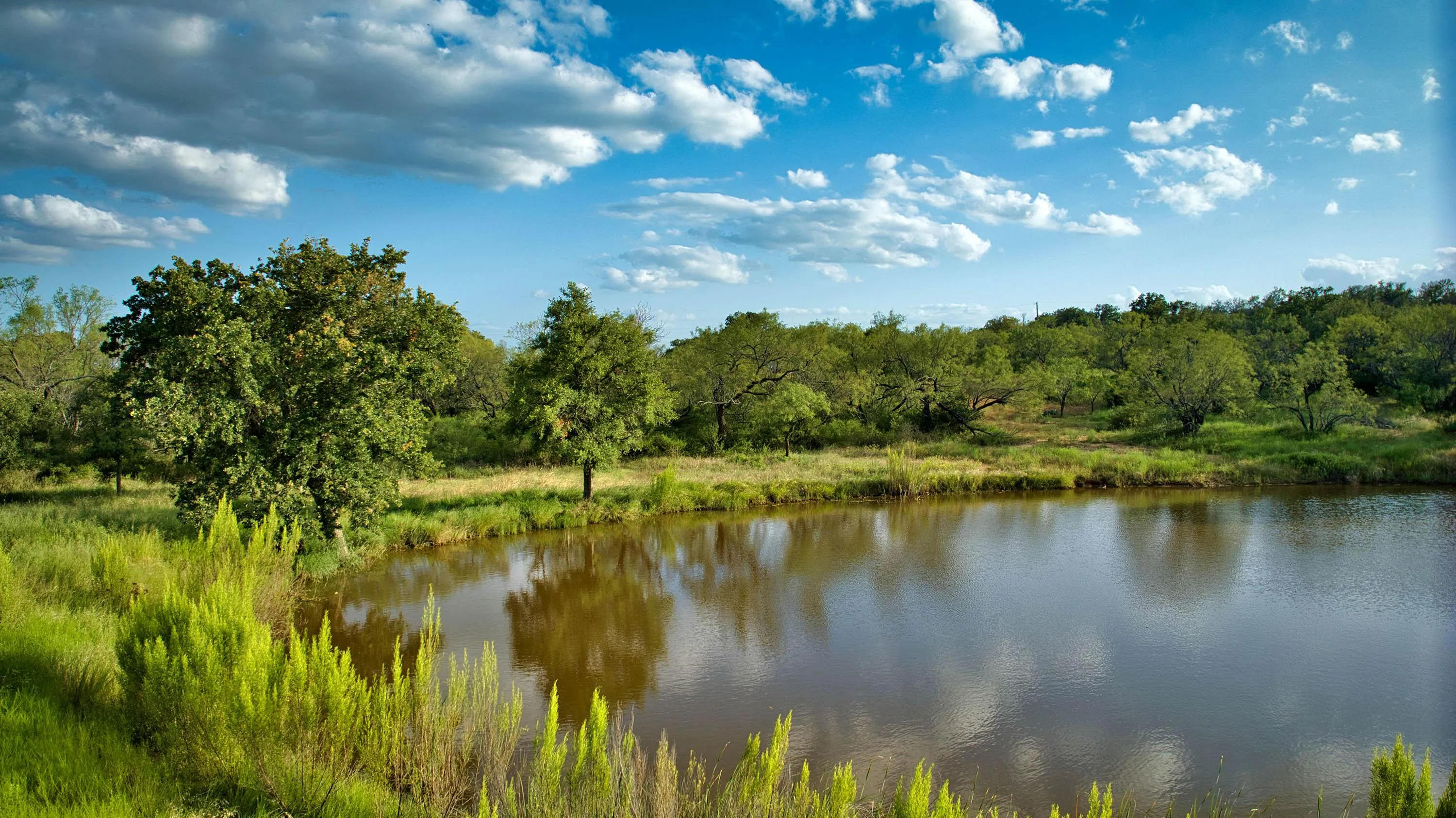 Land for Sale in Mills County, Texas - 114 Properties - Land.com