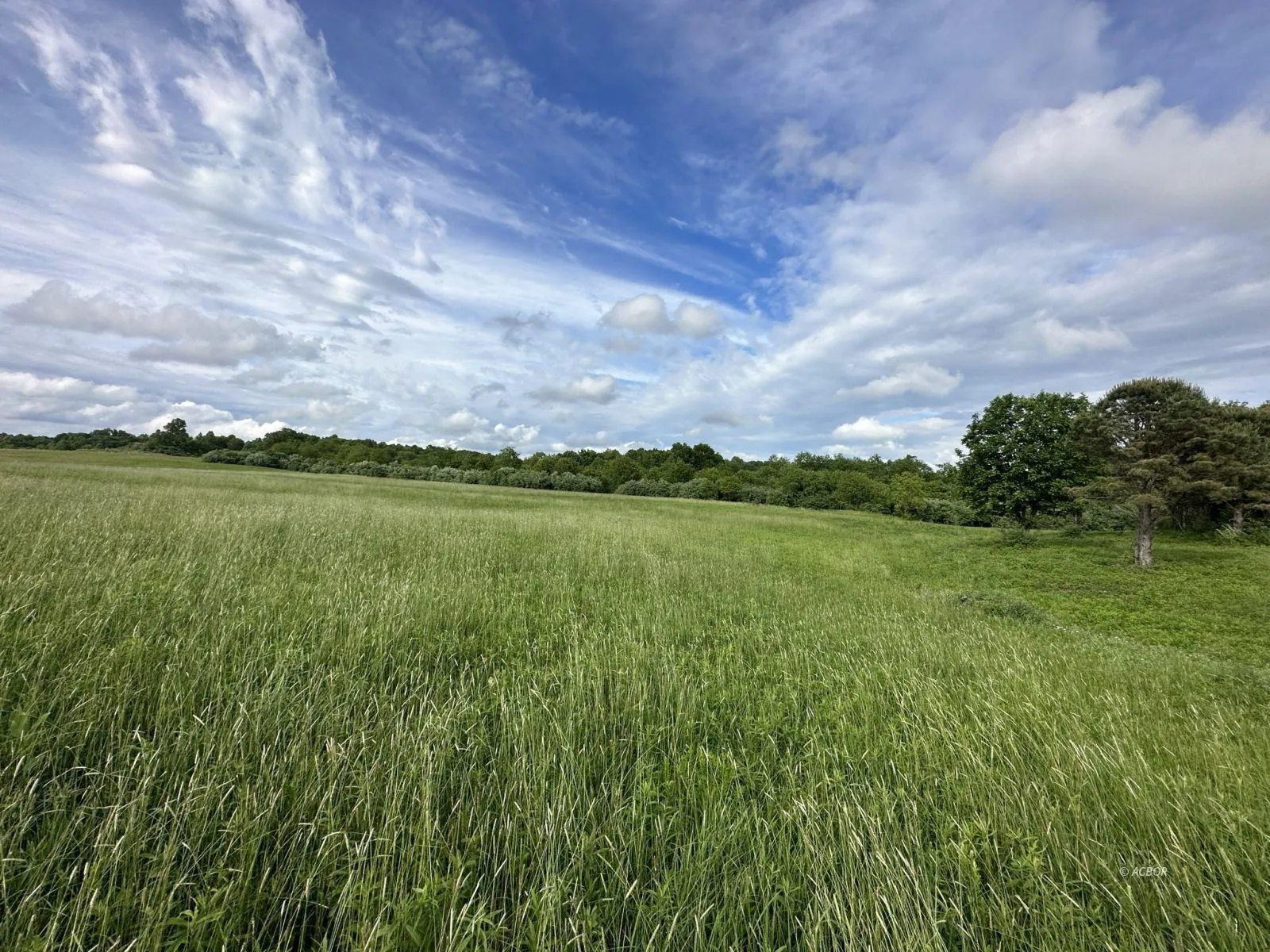 Land for Sale in Ohio - 6,628 Properties - Land.com