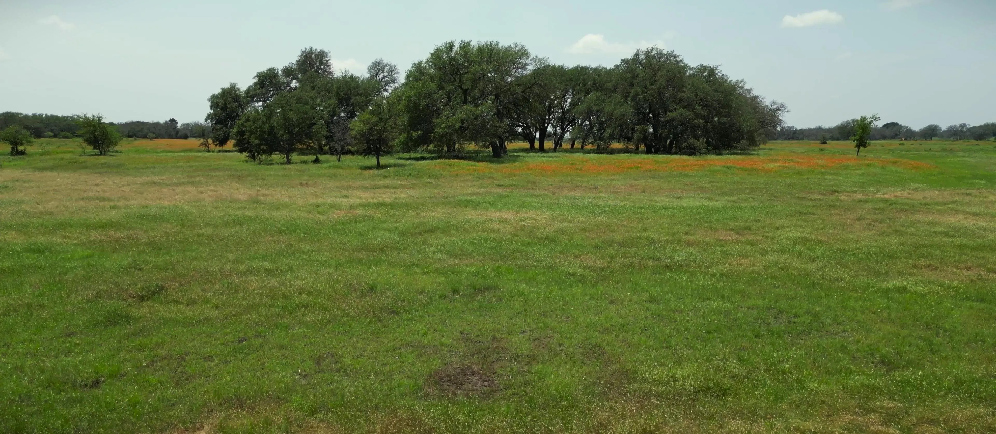 Ranches for Sale in Texas - 5,878 Properties - Page 5 - Land.com