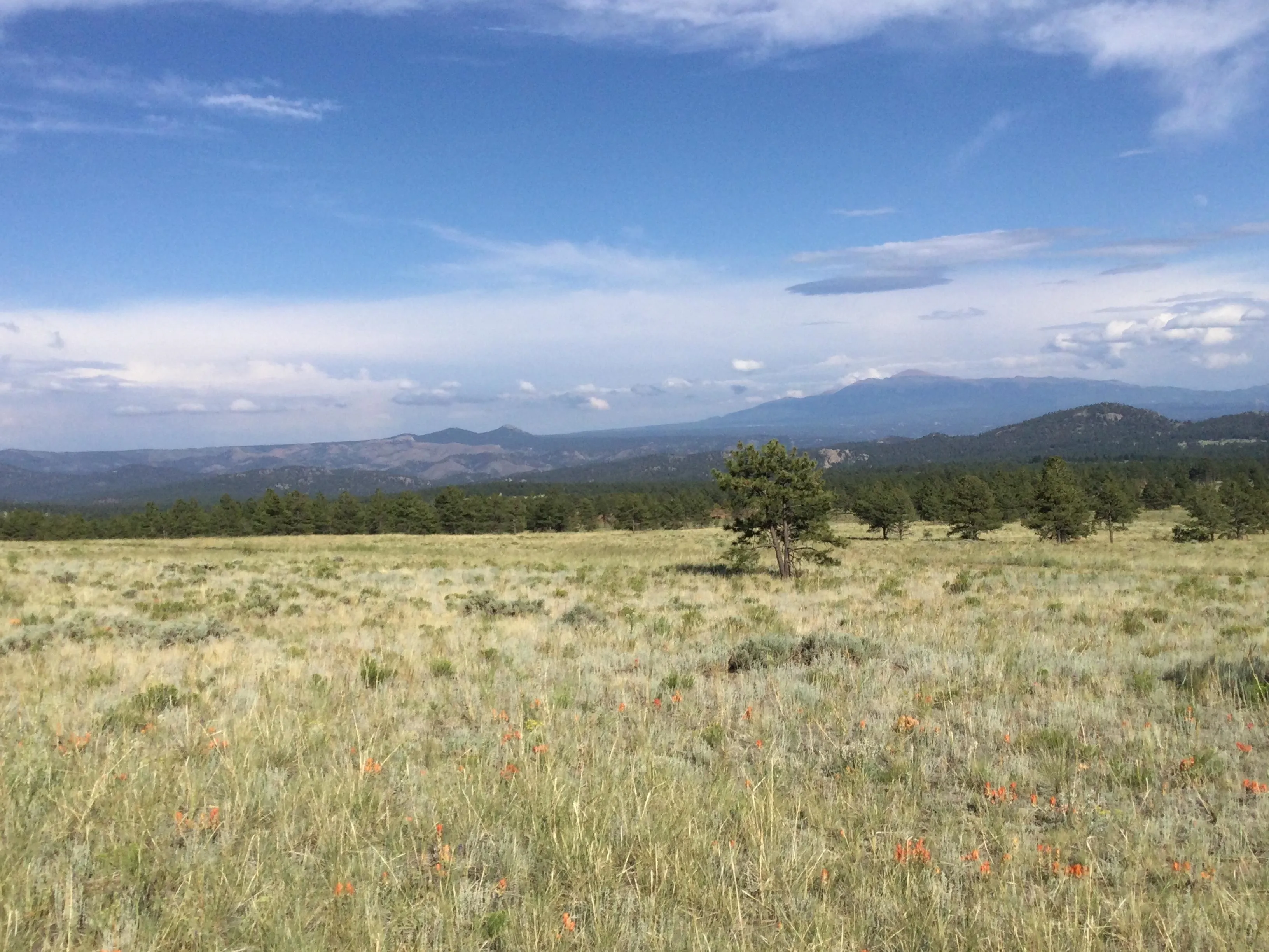 Land for Sale in United States between $5K and $6K - 1,691 Properties ...