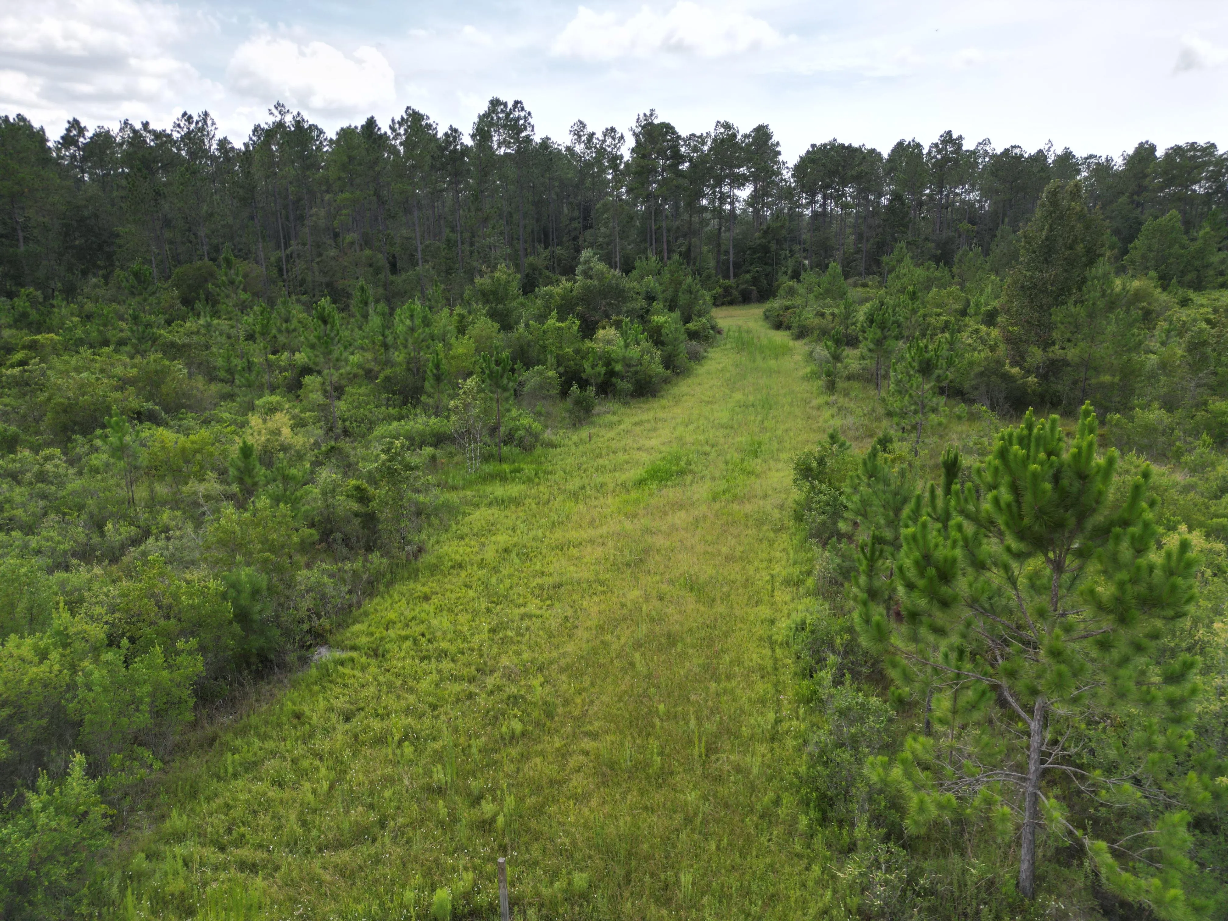Land for Sale in Washington County, Florida - 221 Properties - Land.com
