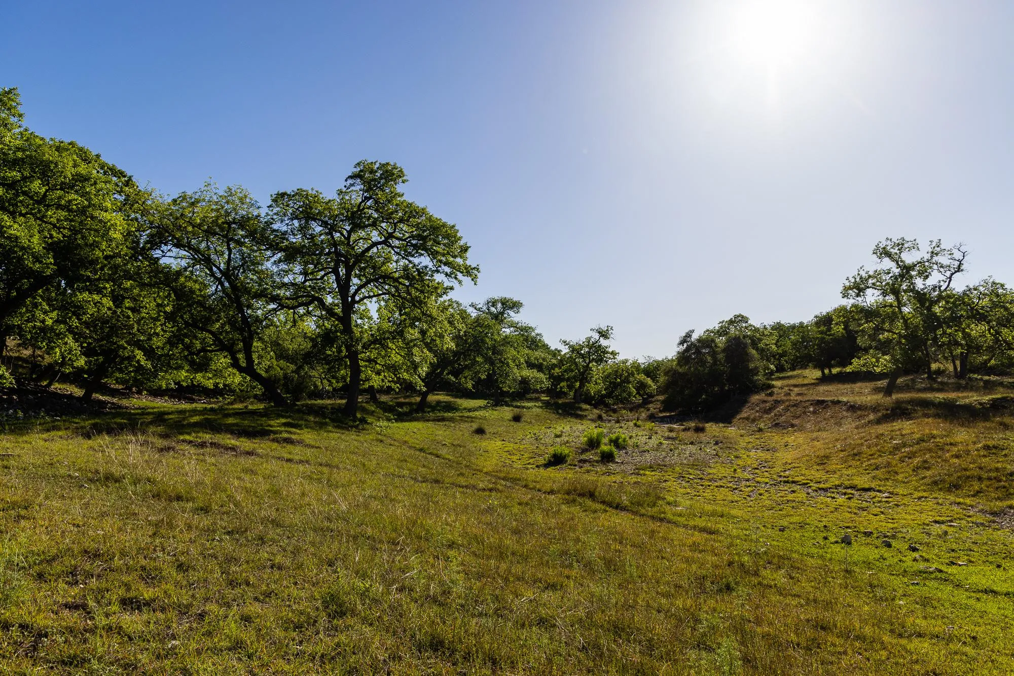 Owner Financing Ranches for Sale in Texas - 491 Properties - Land.com