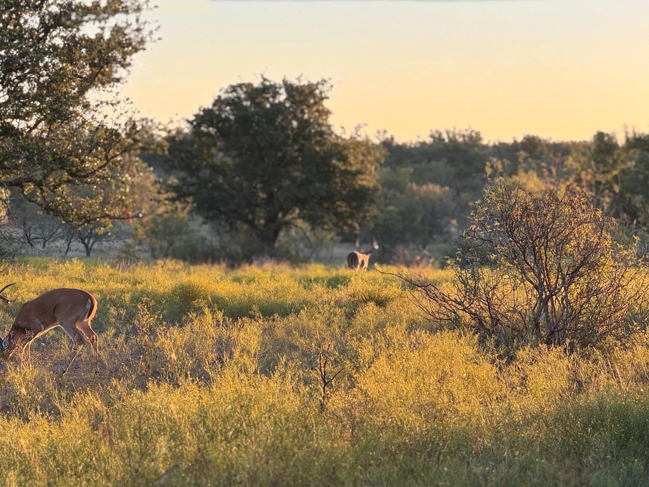 Land for Sale in United States - 1,815 Properties - Land.com