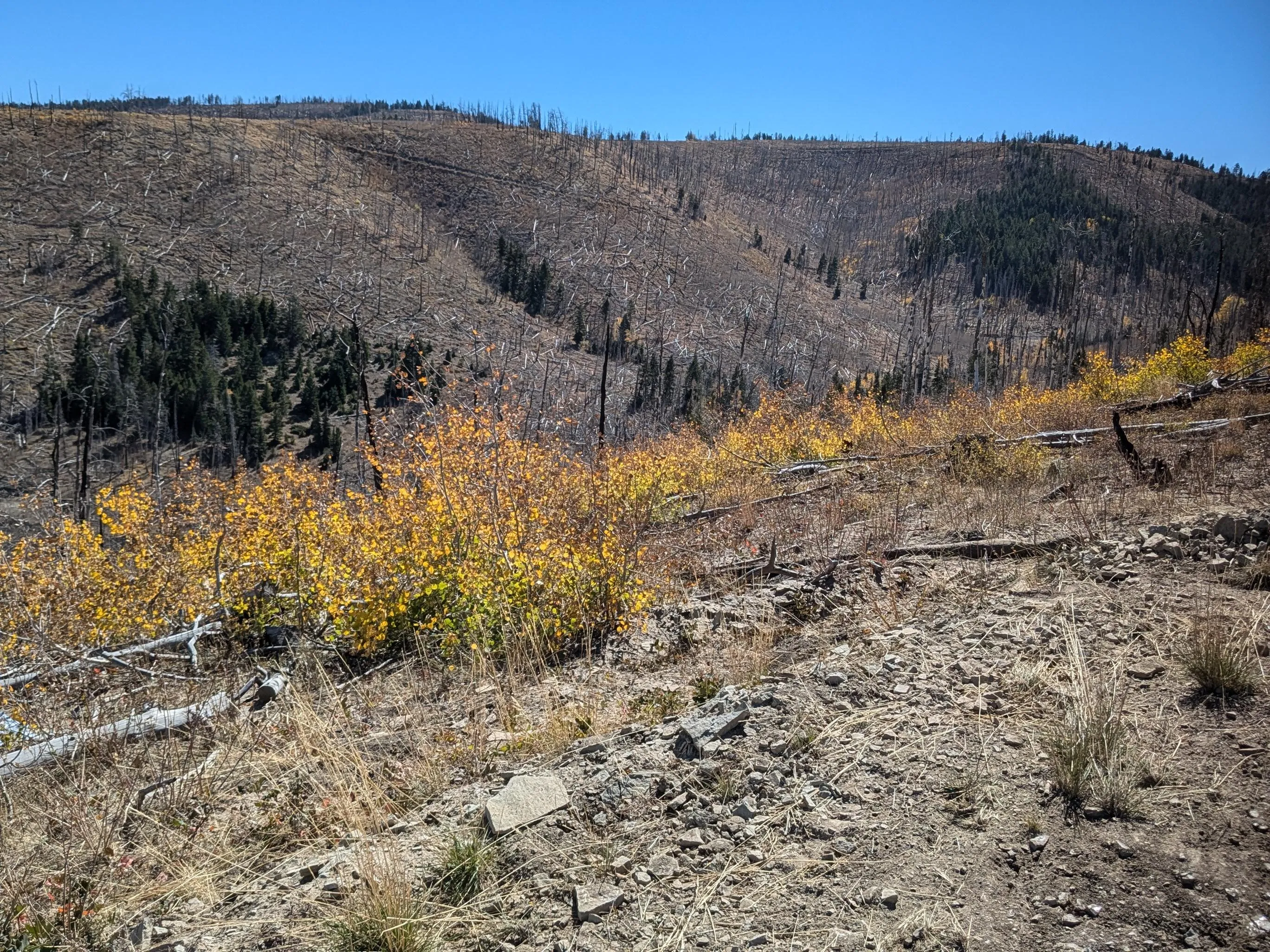 Land for Sale in Utah over 10 Acres - 565 Properties - Land.com