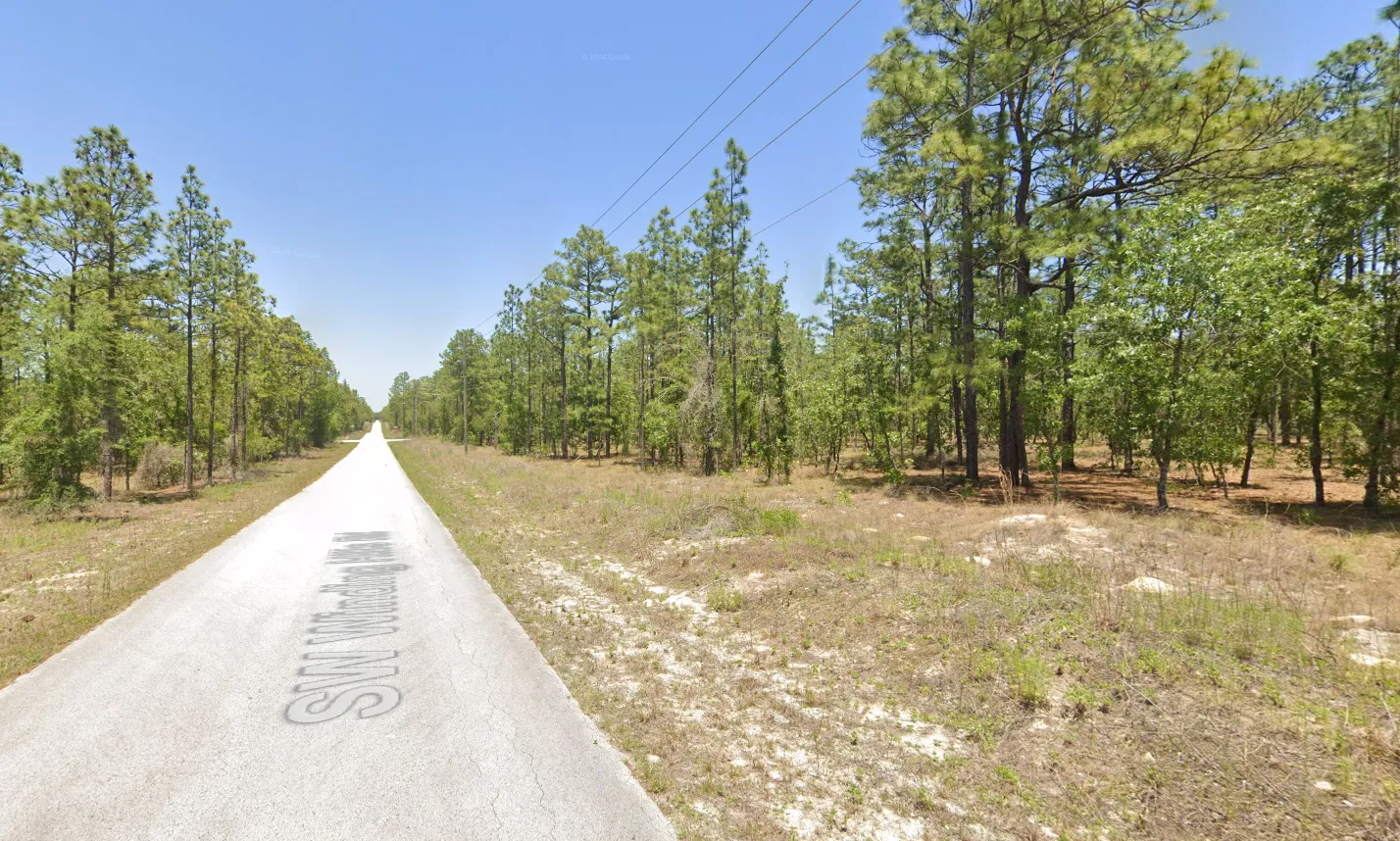 Timberland Properties for Sale in Marion County, Florida - 2 Properties ...