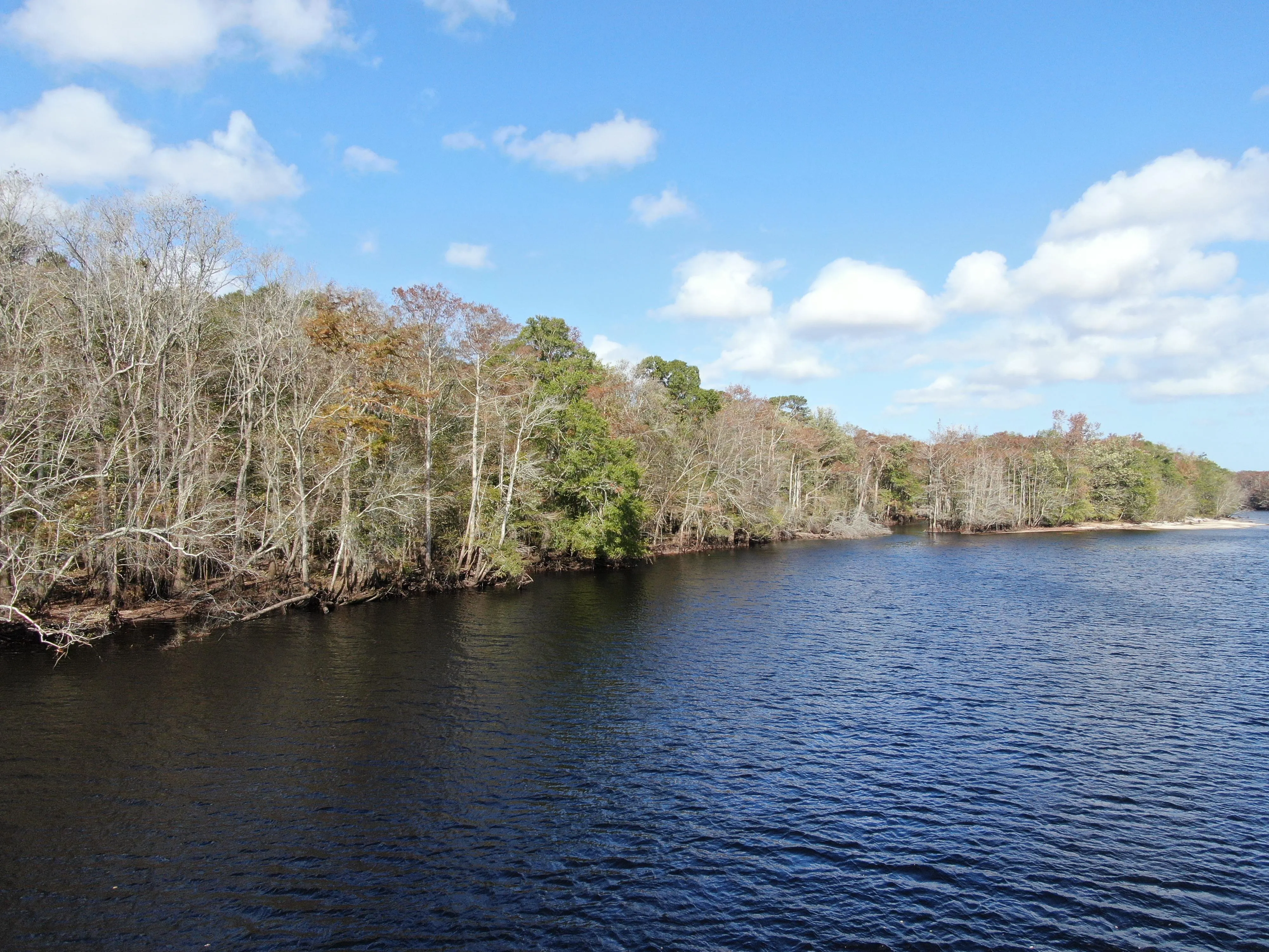 Land for Sale in South Carolina over 50 Acres - 741 Properties - Land.com