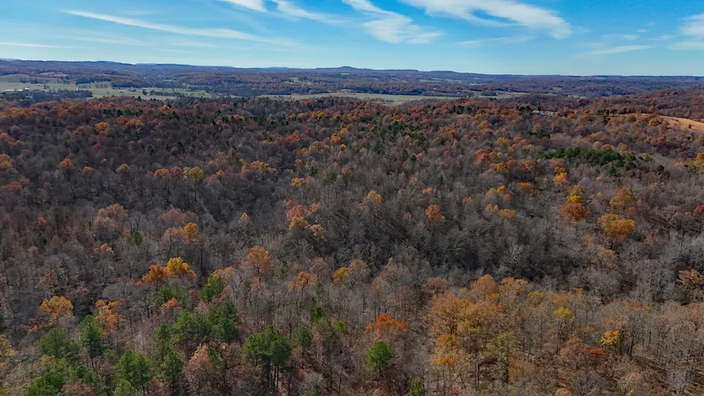 Land for Sale in United States up to $500K - 8,555 Properties - Land.com