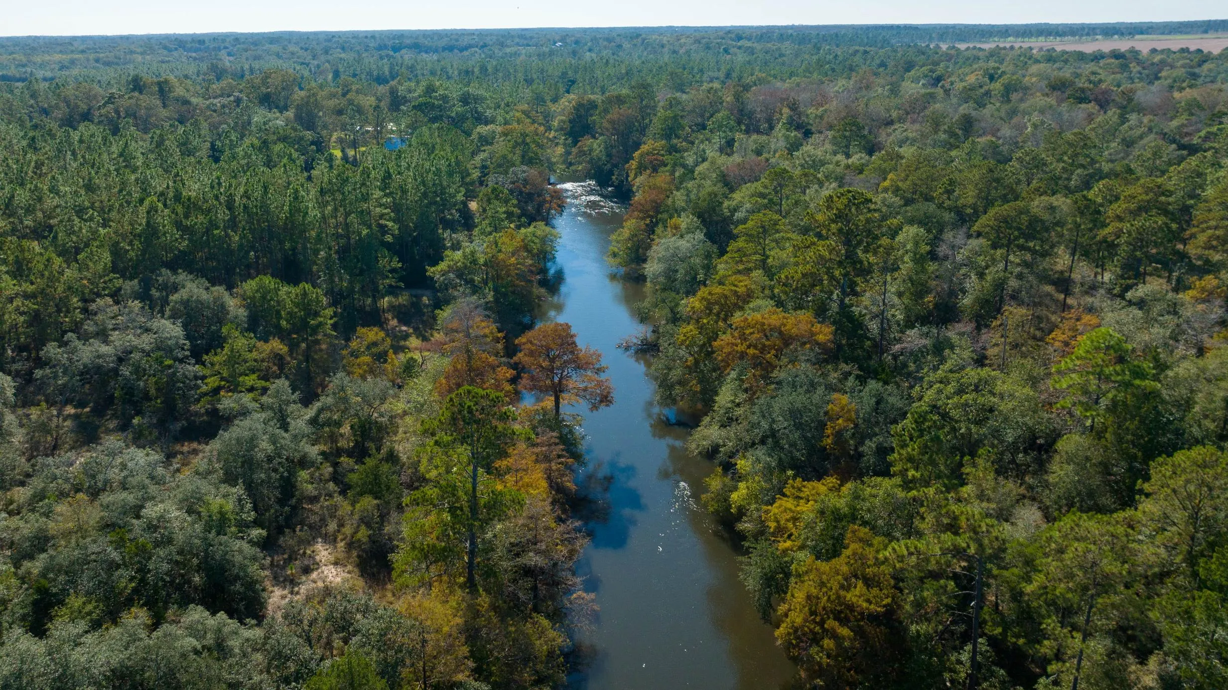 Land for Sale in Georgia between 70 and 80 Acres - 141 Properties ...