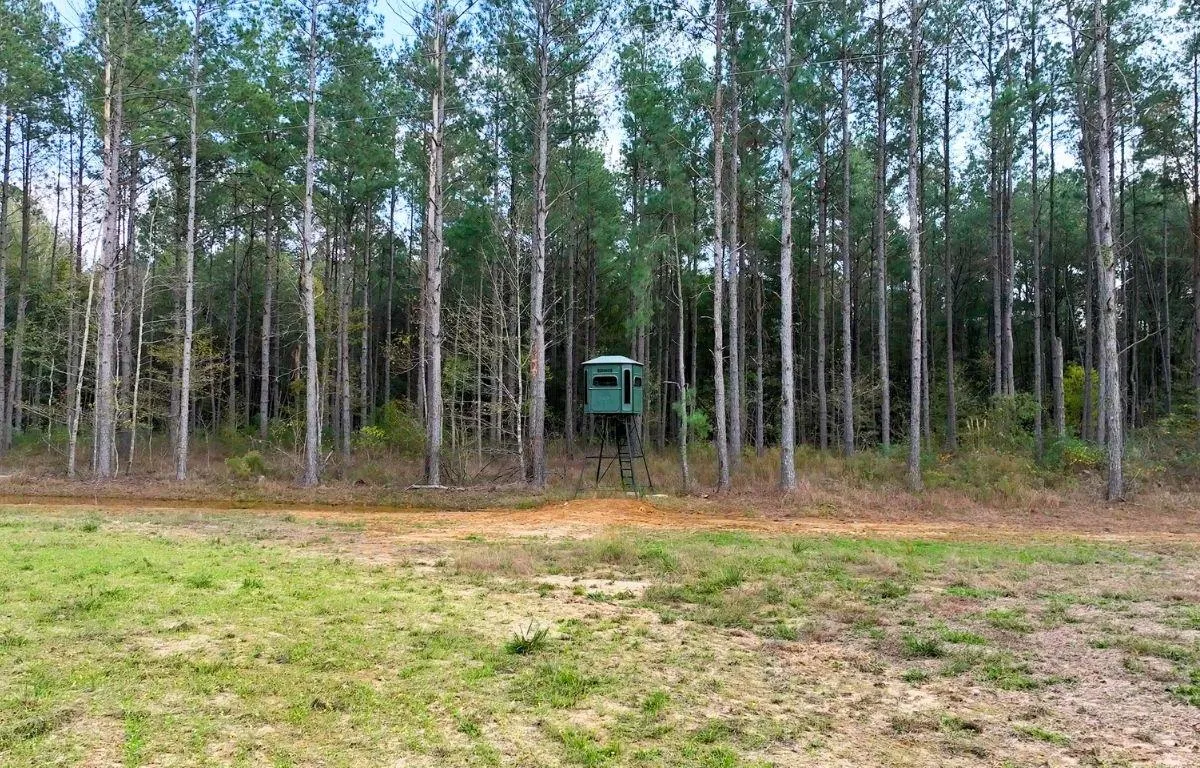 Land for Sale in Jones County, Mississippi - 133 Properties - Land.com