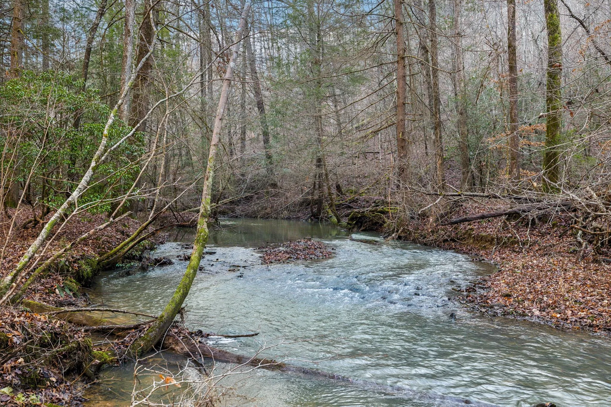 Land for Sale in Scott County, Tennessee - 149 Properties - Land.com