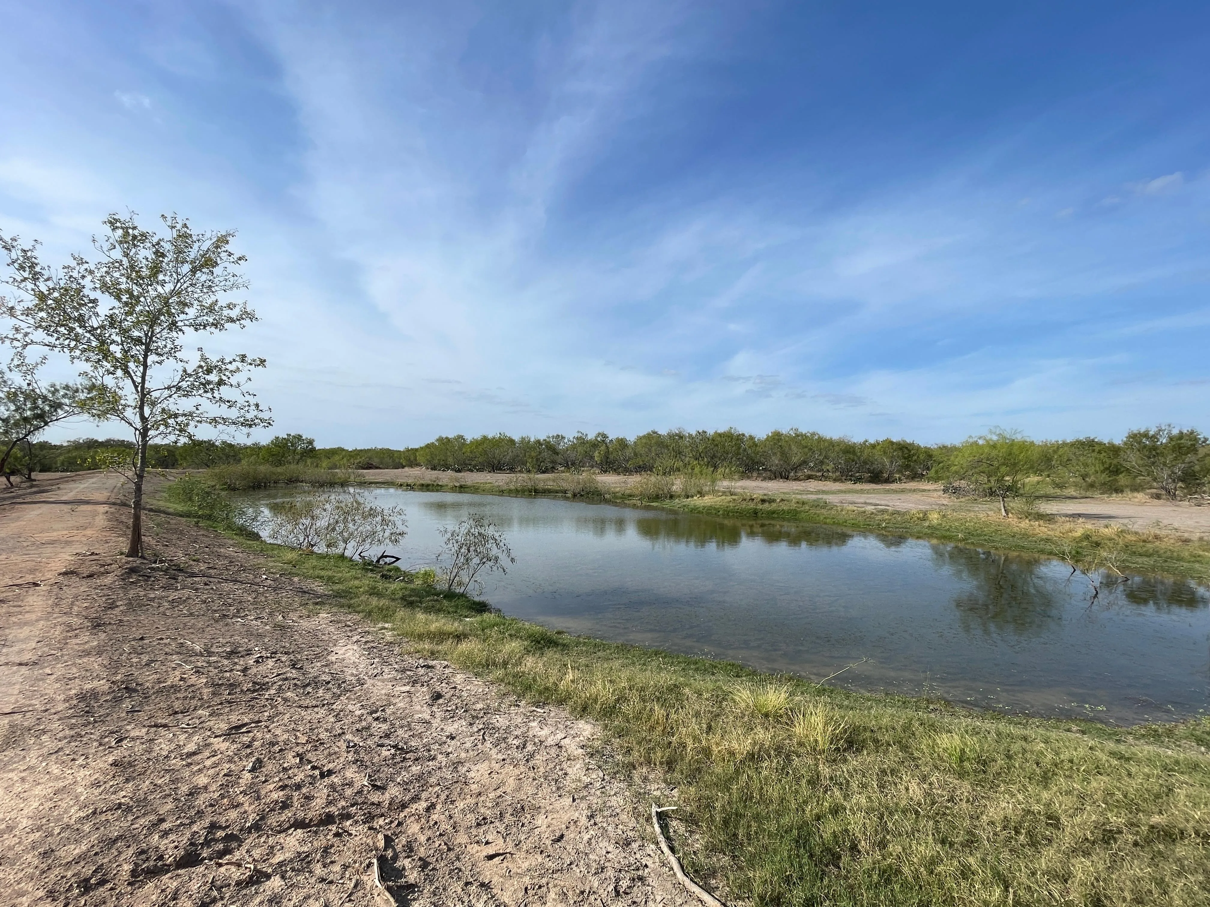 Land for Sale in Frio County, & 2 more - 155 Properties - Land.com