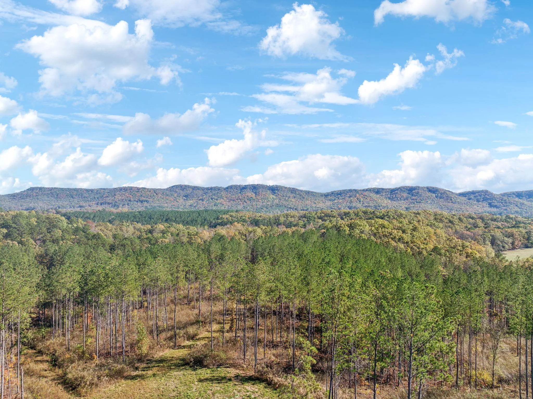 Land for Sale in Alabama between 80 and 90 Acres - 158 Properties ...