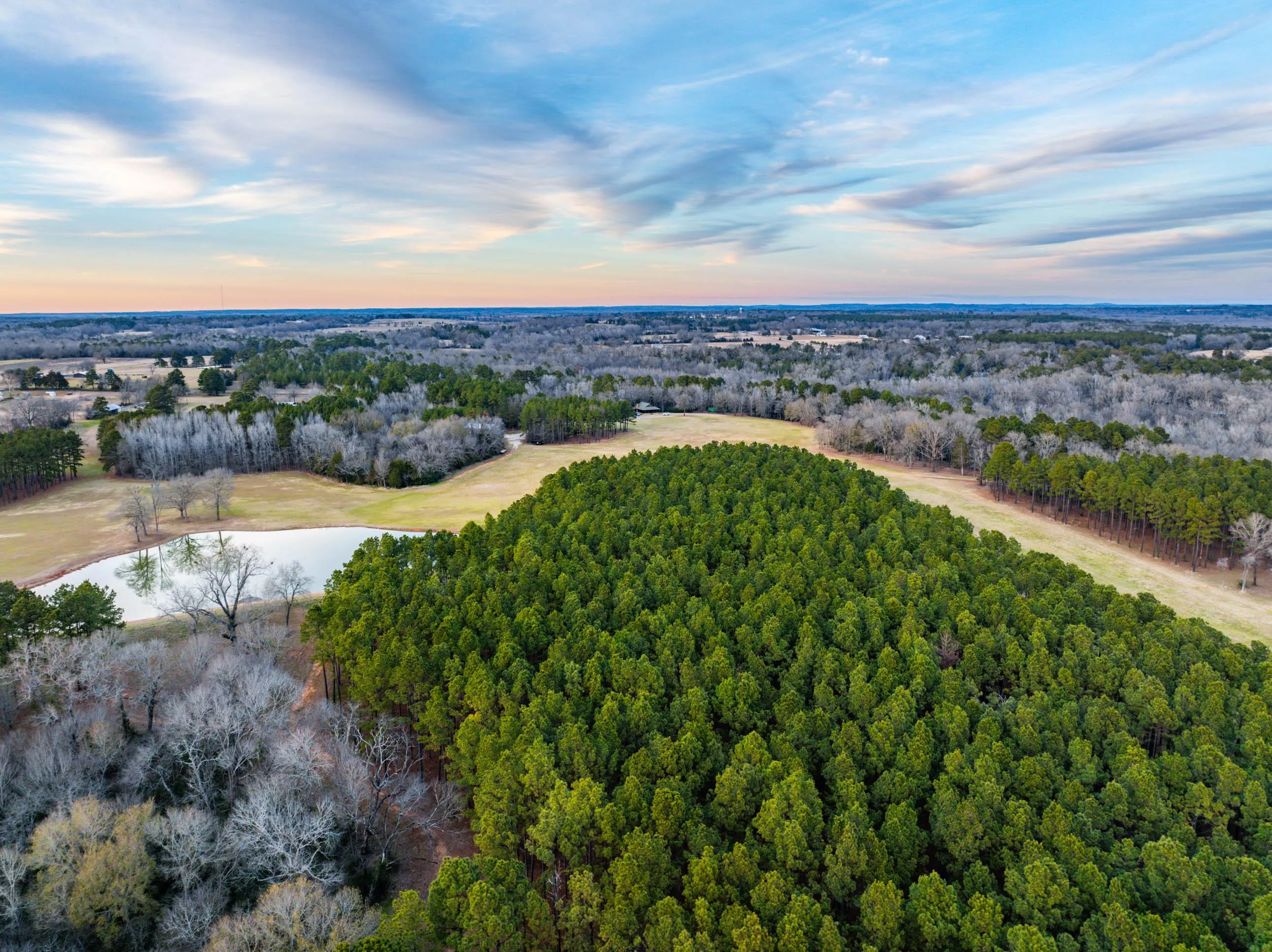 Land for Sale in Tyler, Texas - 668 Properties - Land.com