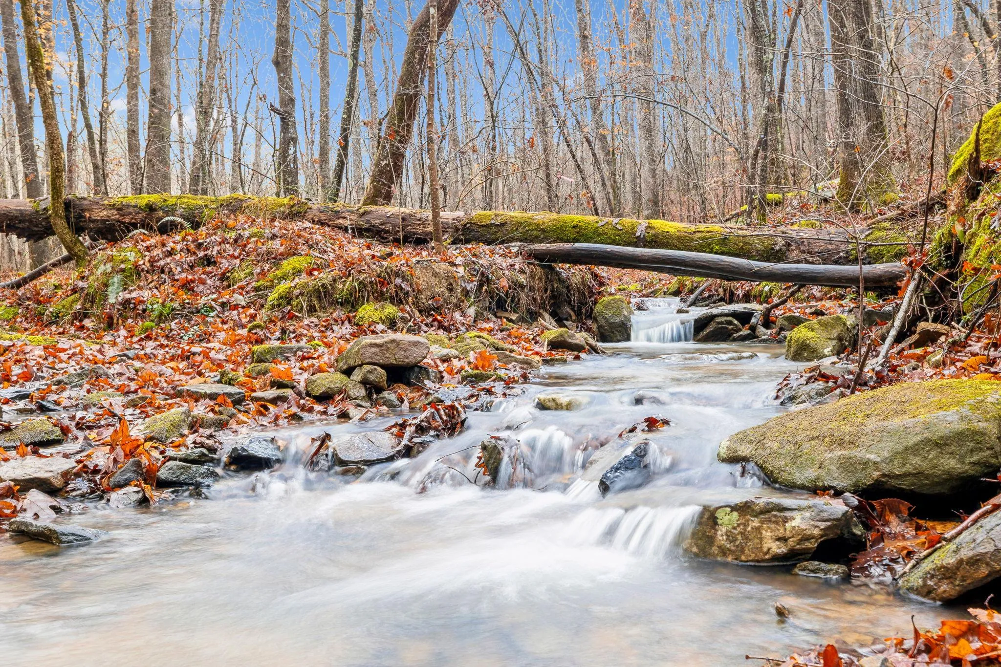 Timberland Properties for Sale in Scott County, Tennessee - 11 ...