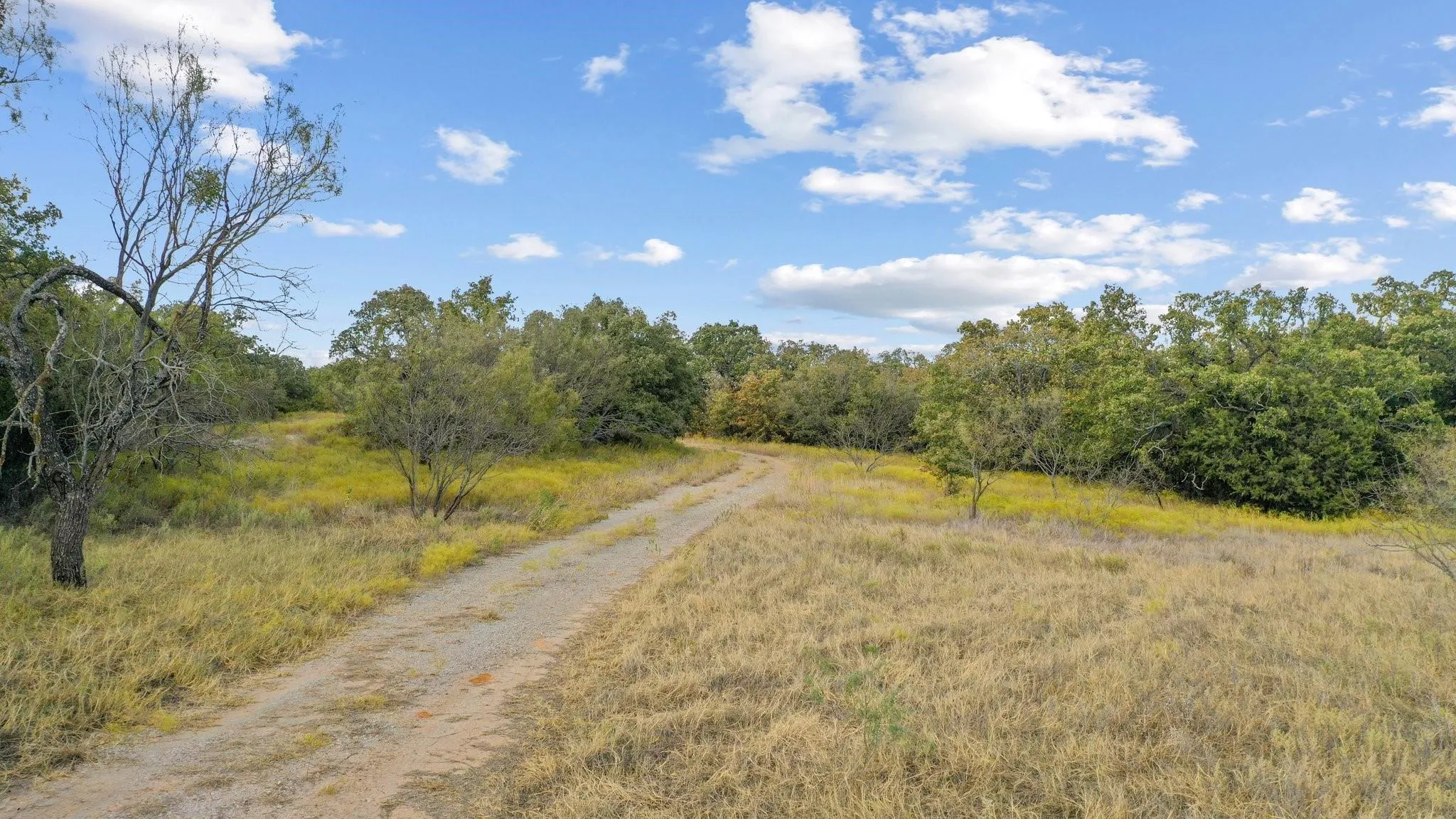 Land for Sale in Jack County, Texas over 200 Acres - 15 Properties ...