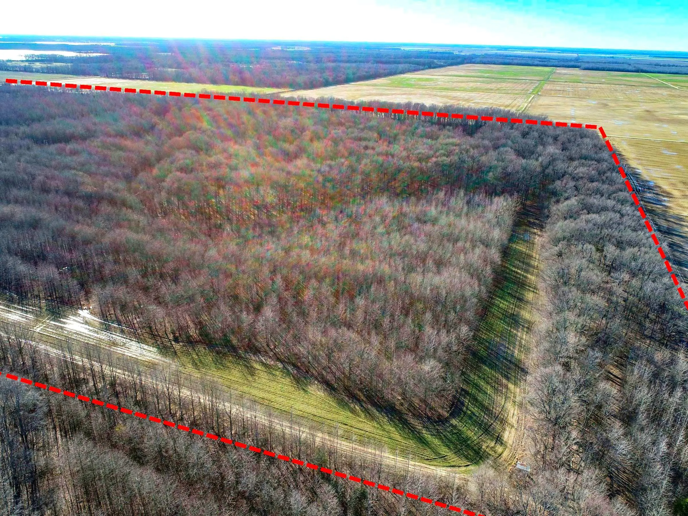 Hunting Land for Sale in Mississippi - 735 Properties - Land.com