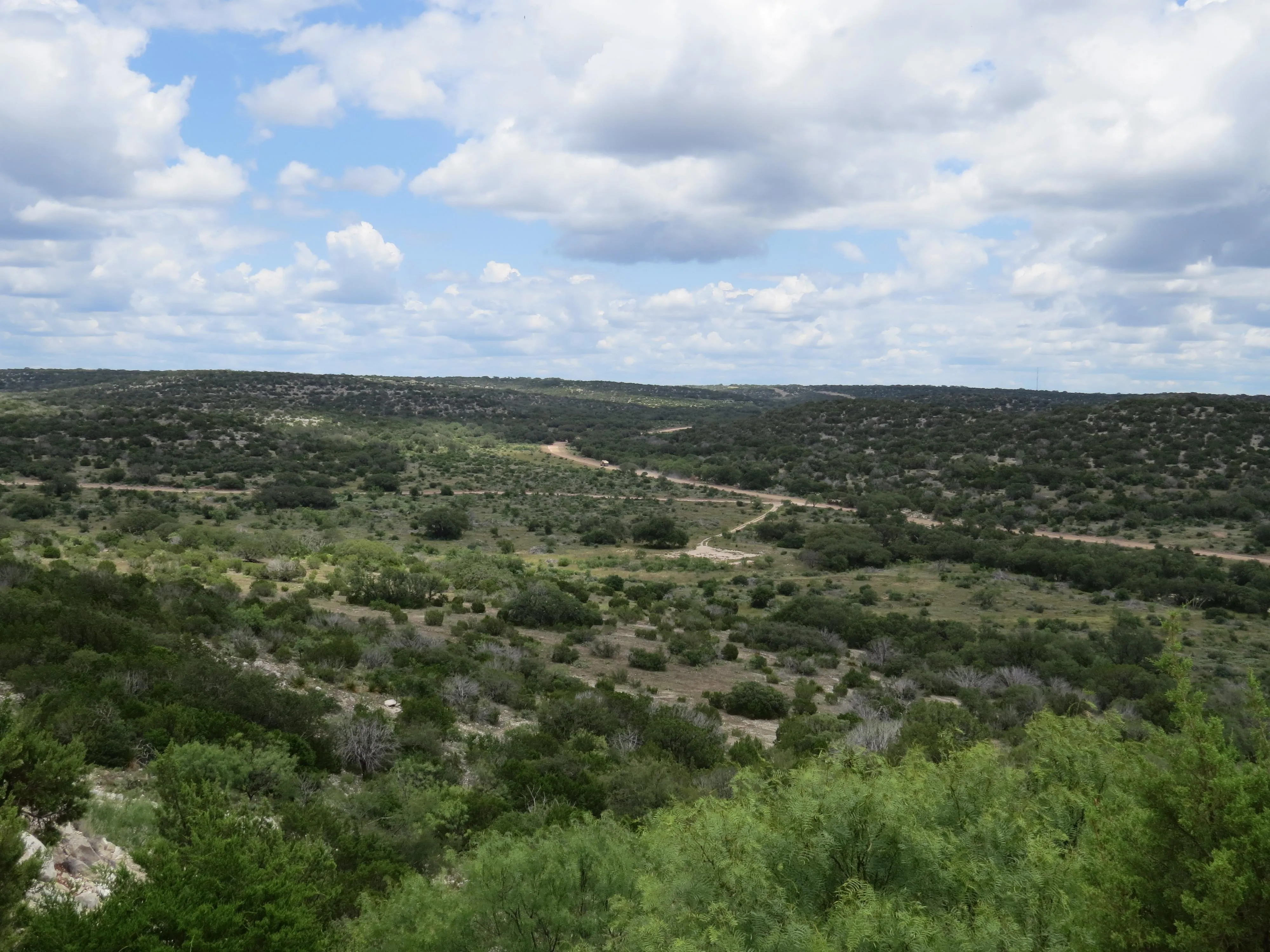 Owner Financing Land for Sale in Texas - 2,656 Properties - Land.com
