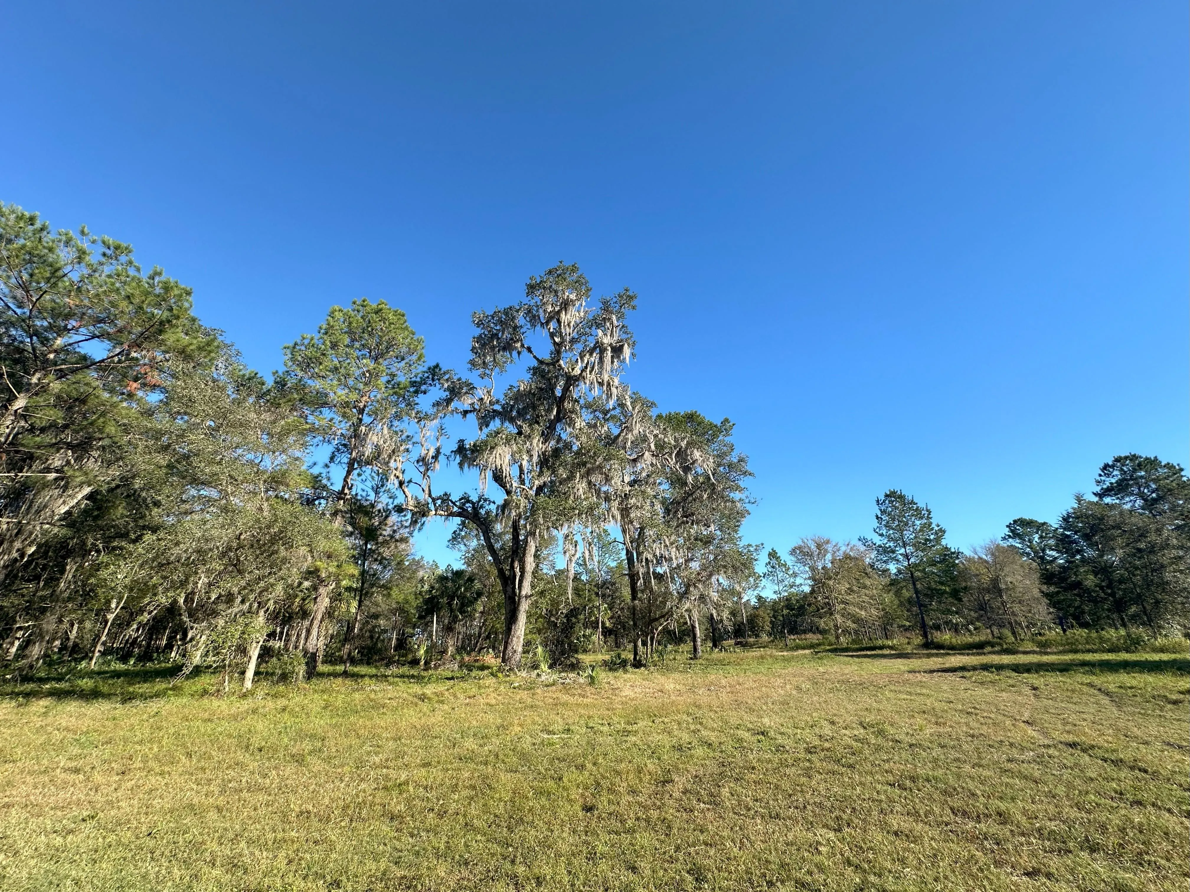 Land for Sale in Marion County, Florida over 2 Acres - 765 Properties ...