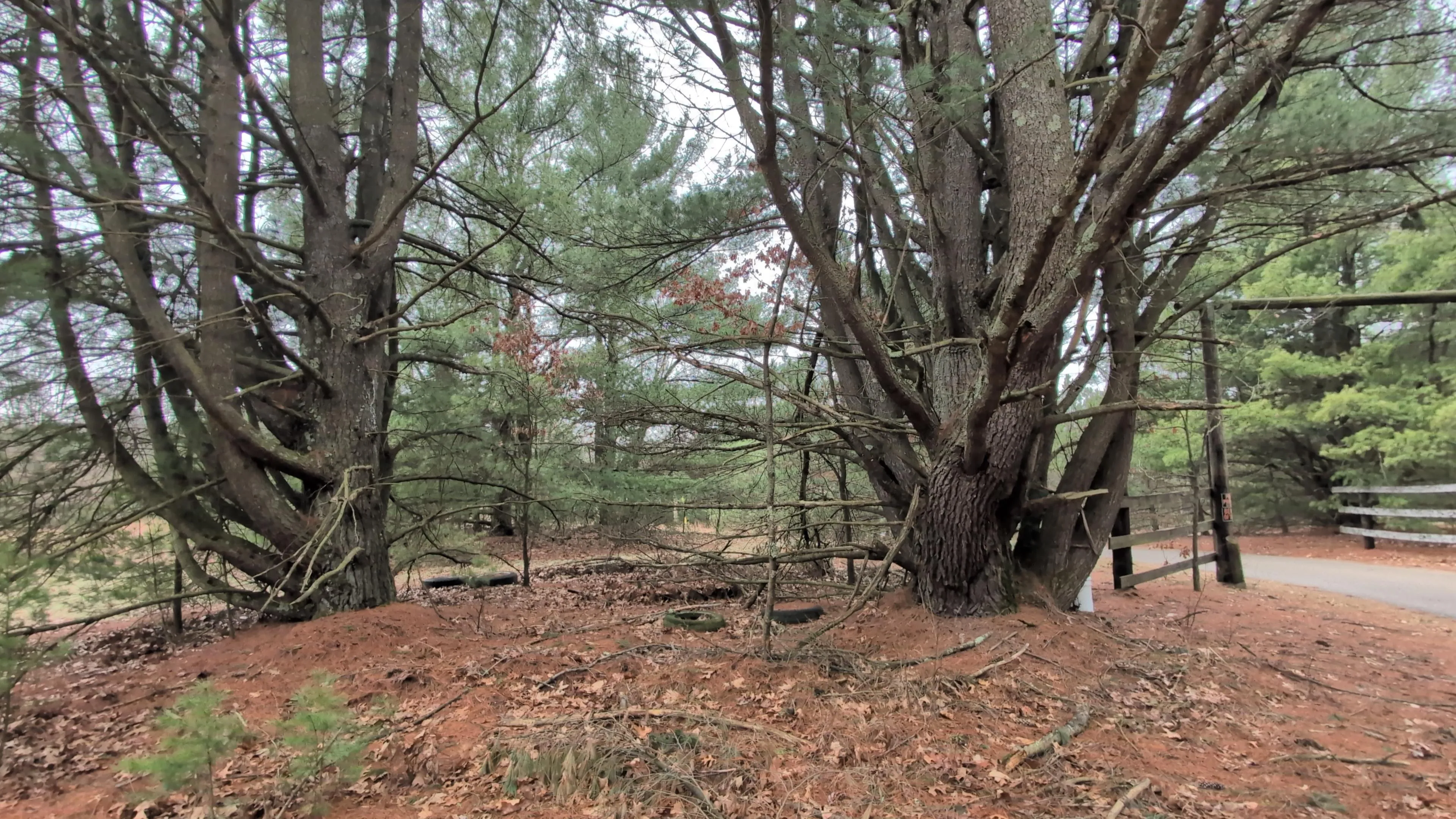 Land for Sale in Michigan up to $50K - 3,467 Properties - Land.com