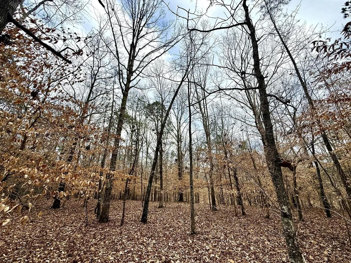 Land for Sale in Elbert County, Georgia - 159 Properties - Land.com